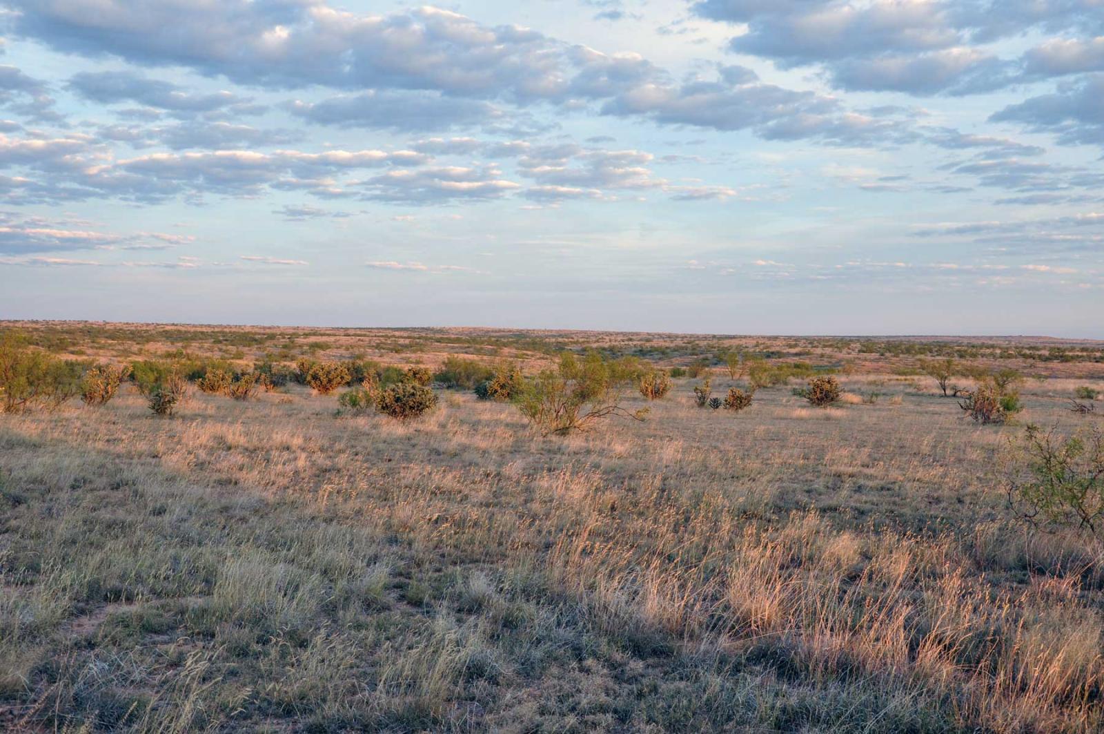 Conrad Ranch | Chas S. Middleton