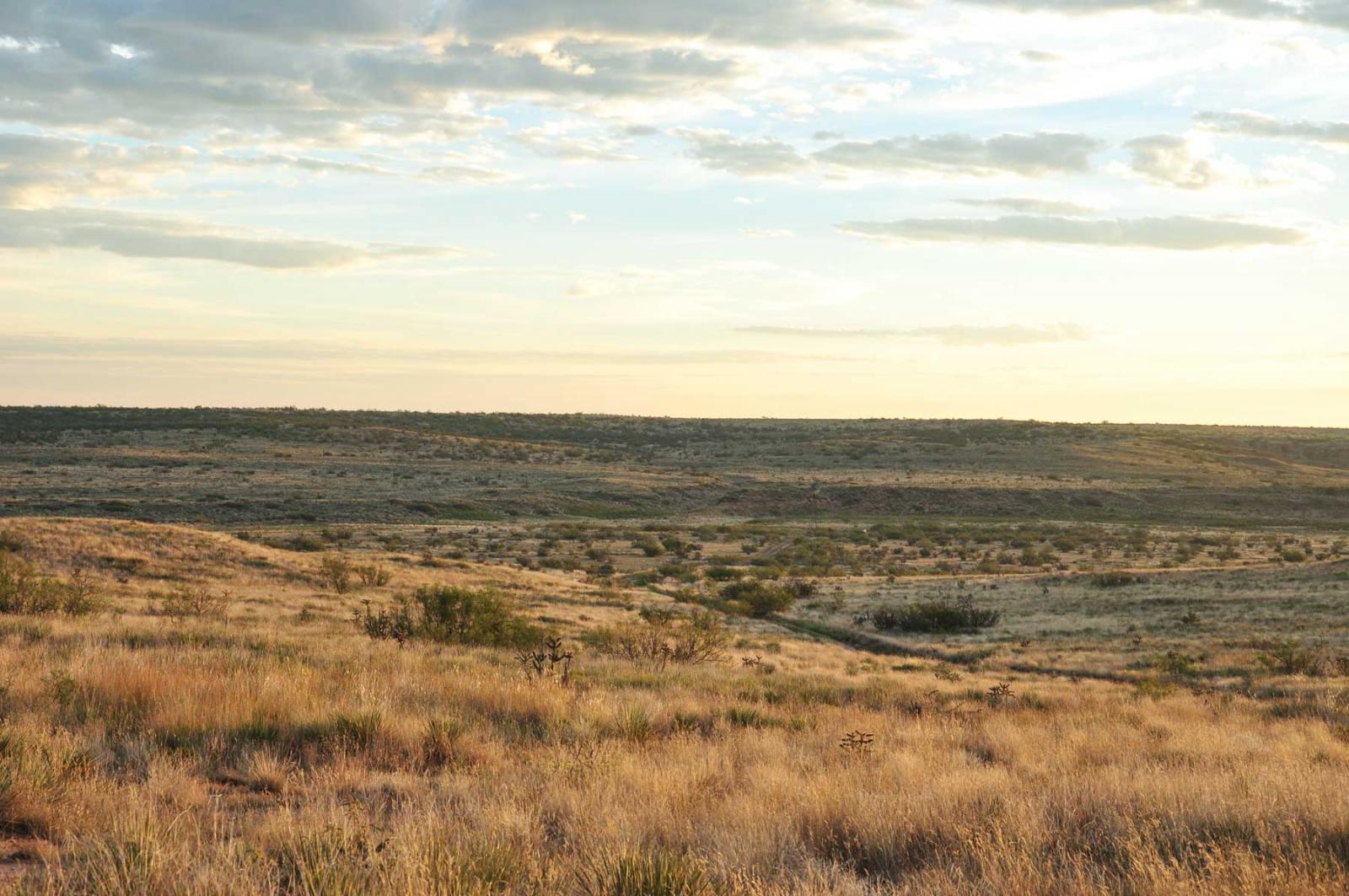 Conrad Ranch | Chas S. Middleton