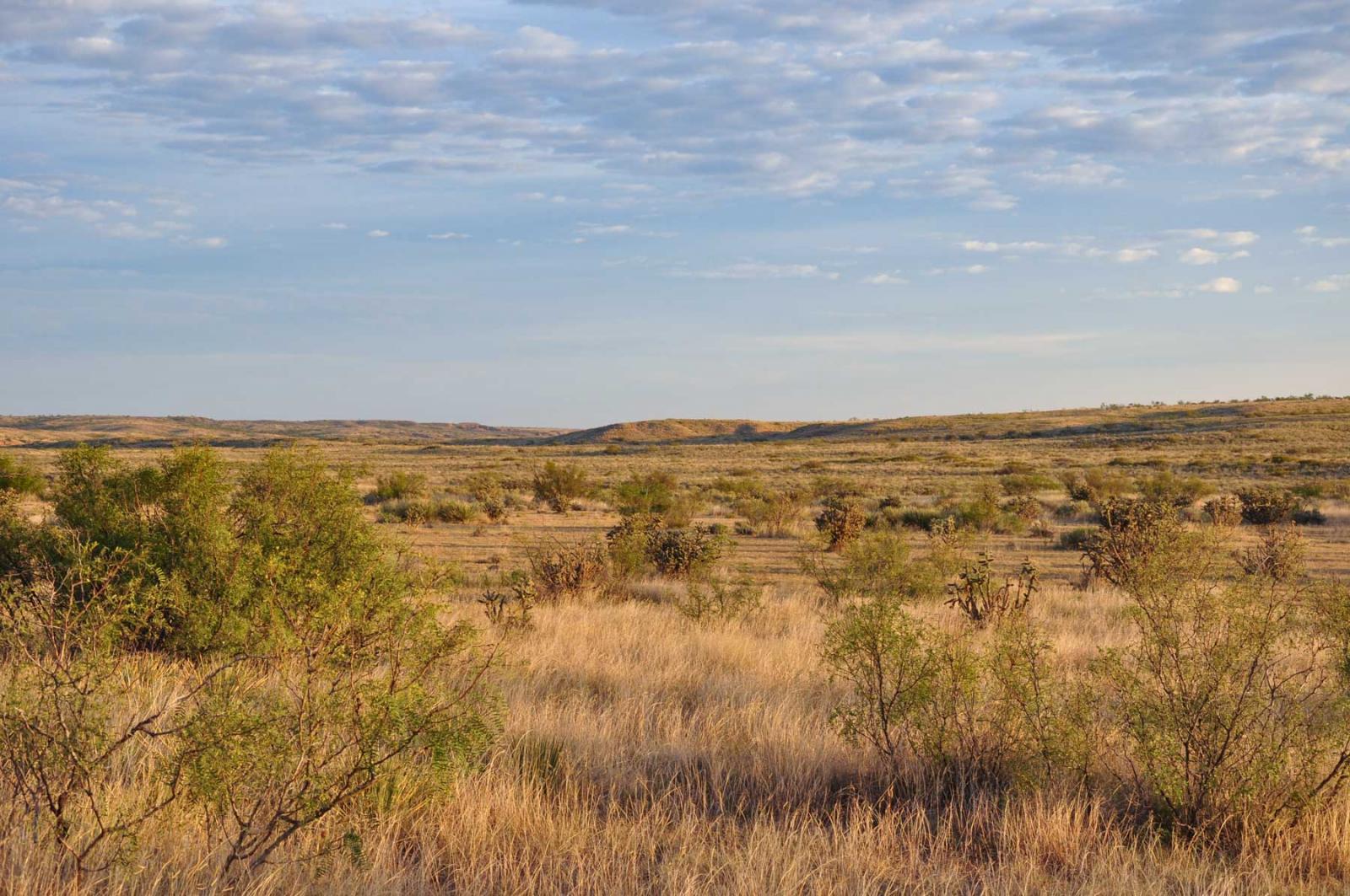 Conrad Ranch | Chas S. Middleton