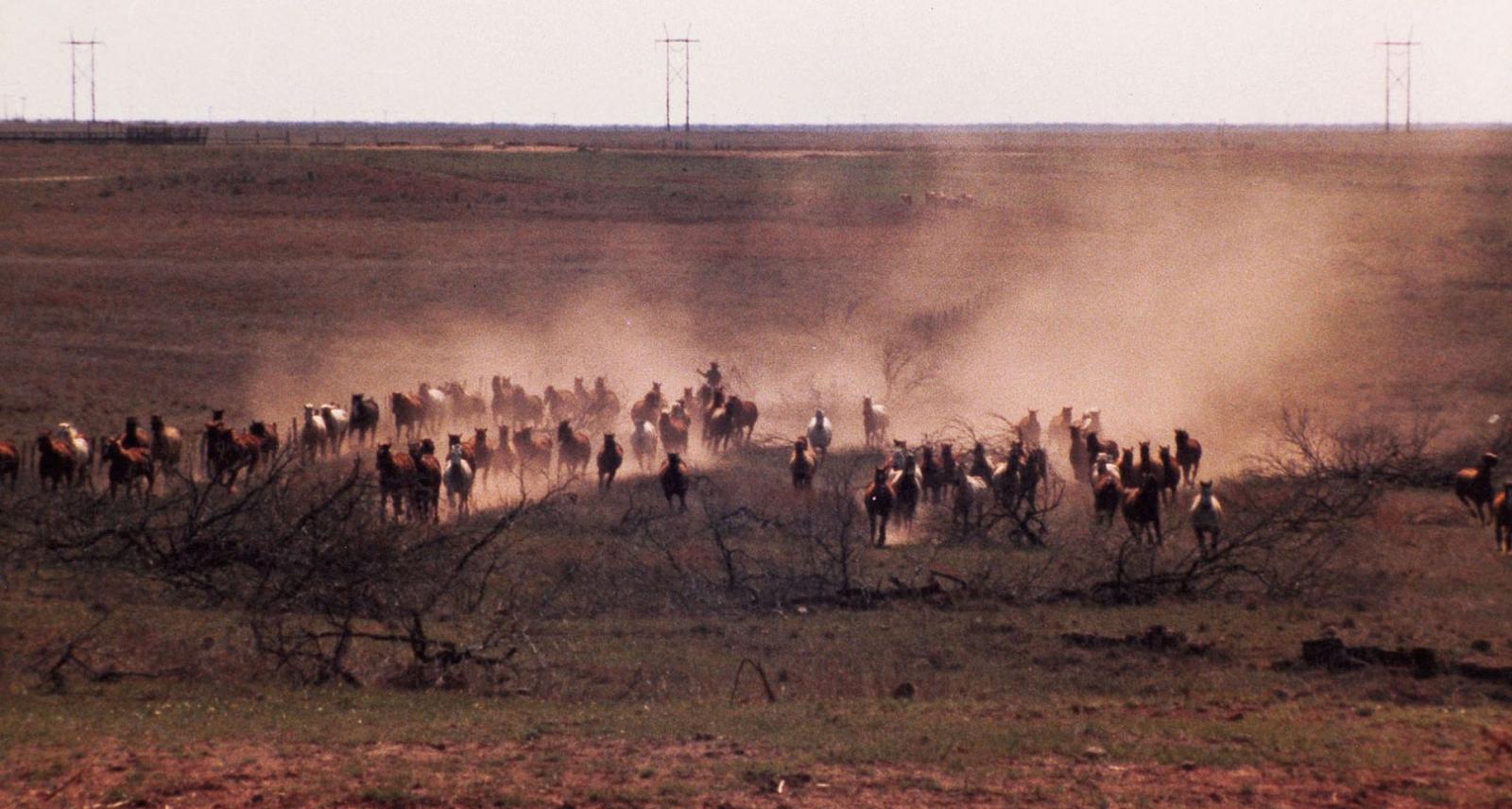 W.T. Waggoner Estate Ranch | Chas S. Middleton