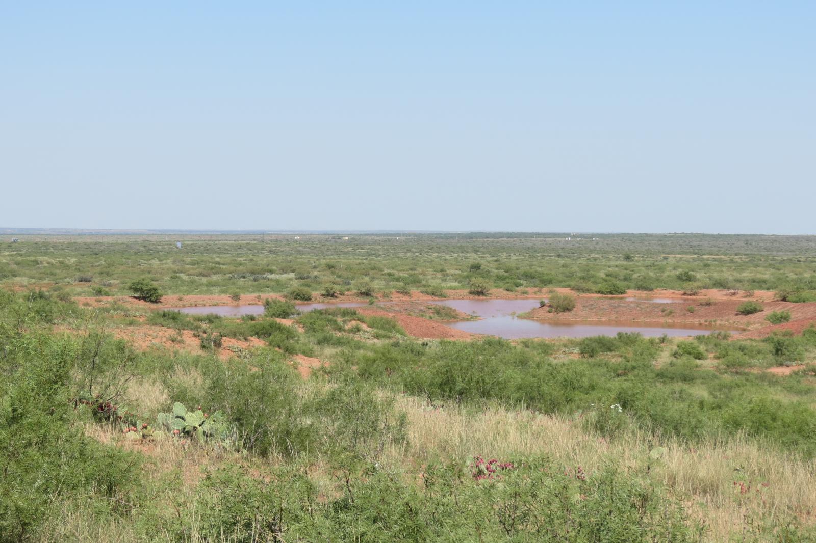 W.T. Waggoner Estate Ranch | Chas S. Middleton