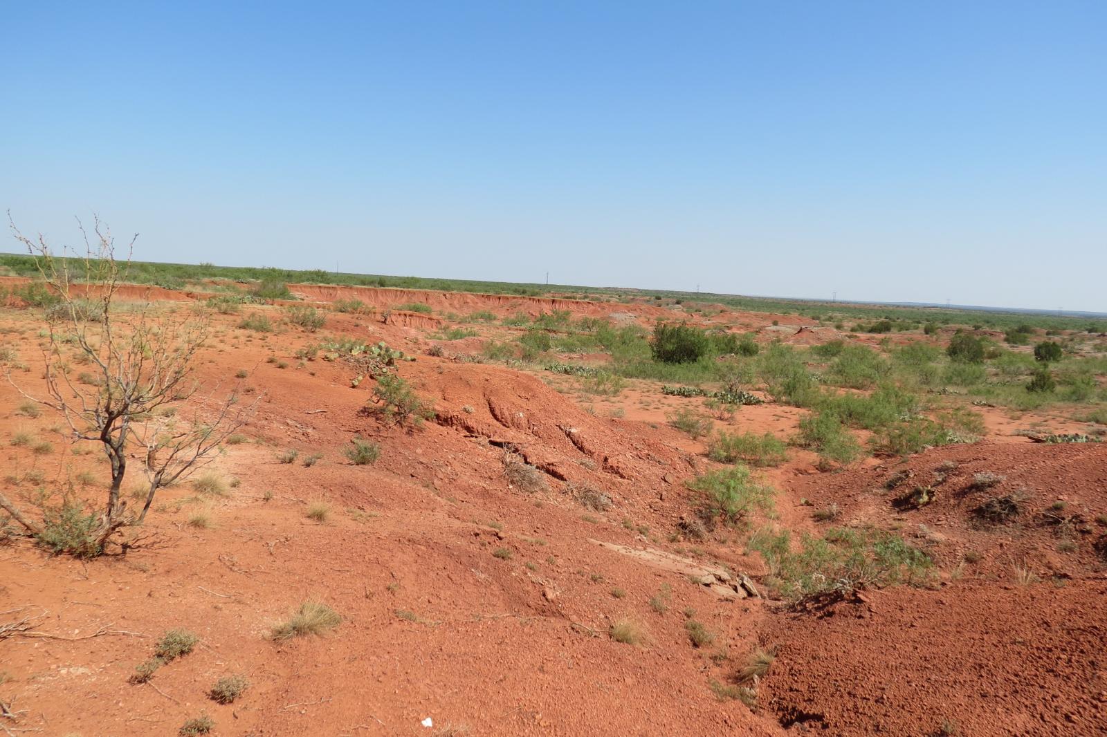 W.T. Waggoner Estate Ranch | Chas S. Middleton