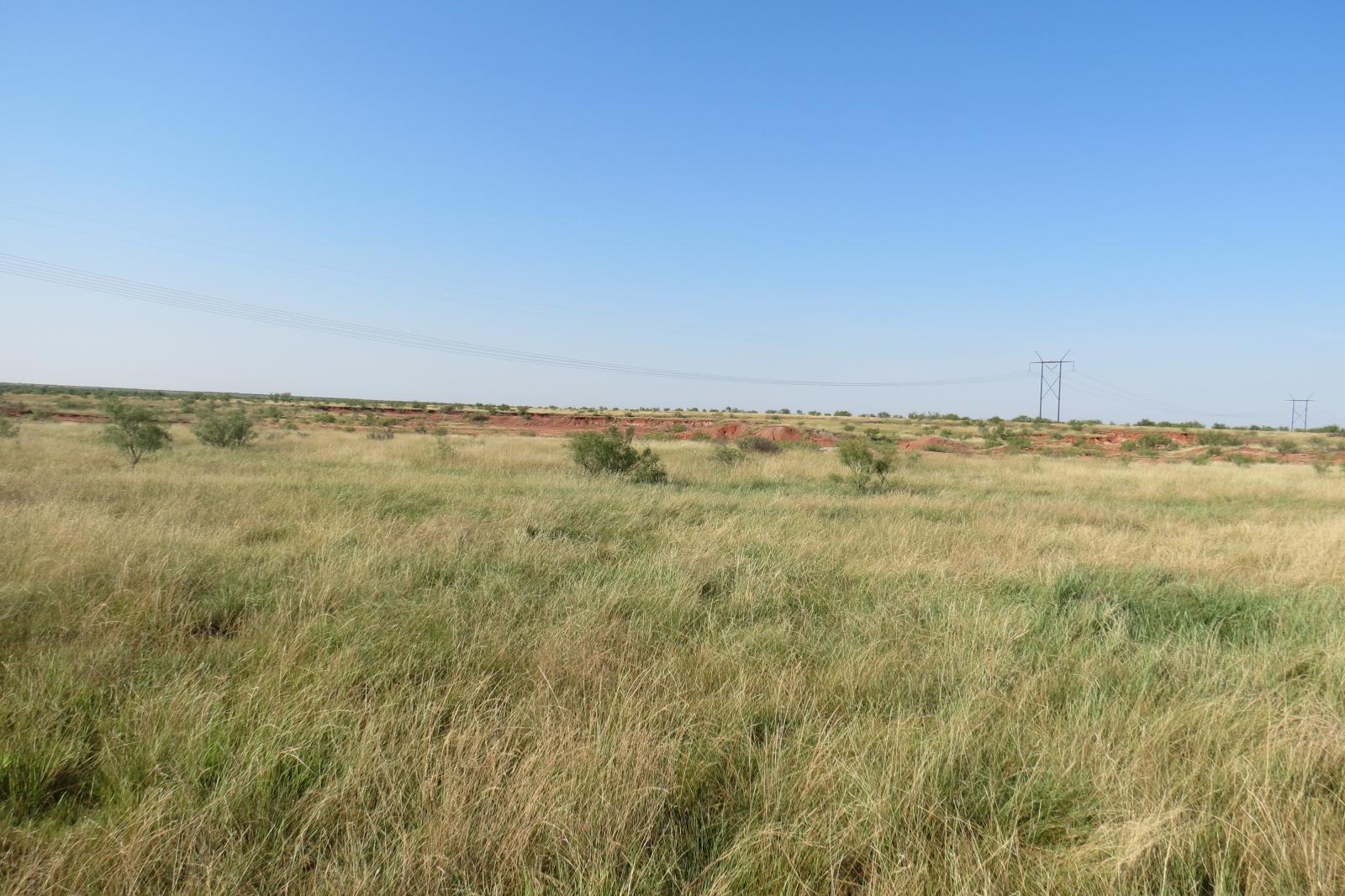 W.T. Waggoner Estate Ranch | Chas S. Middleton