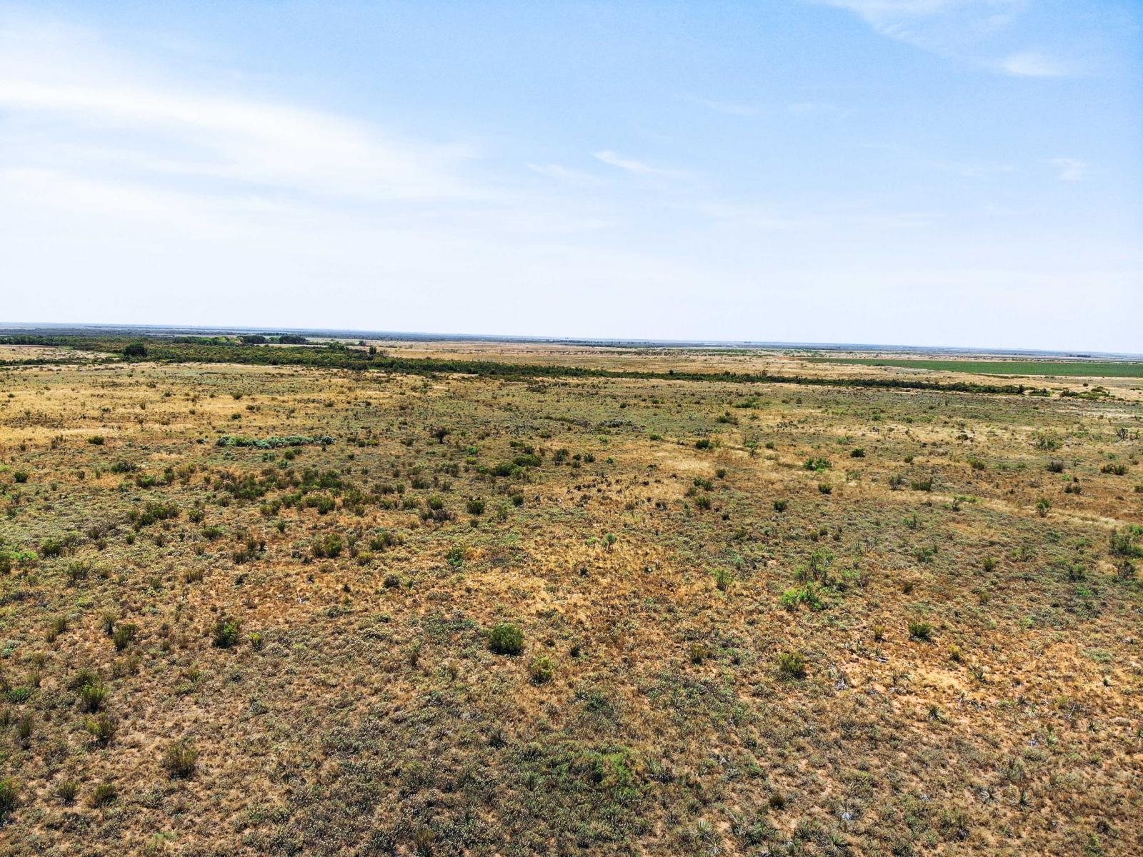 Singleton Farm | Chas S. Middleton