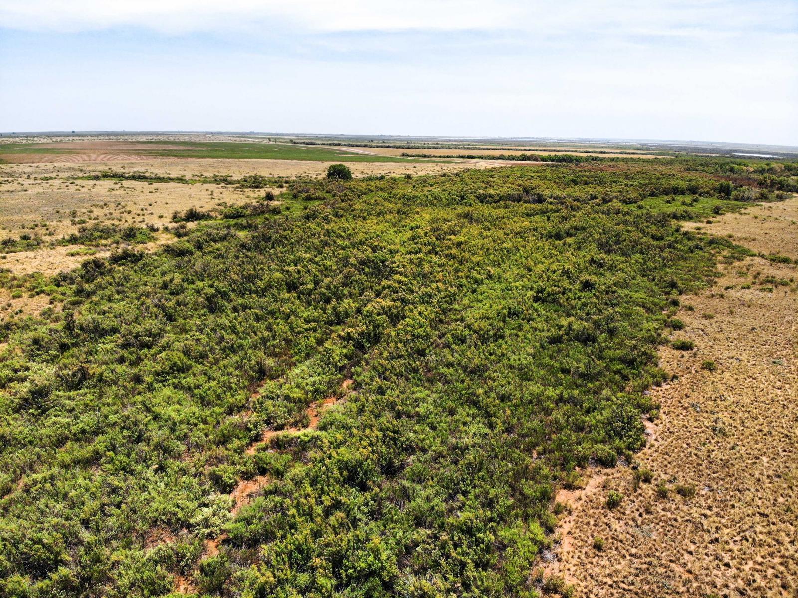 Singleton Farm | Chas S. Middleton