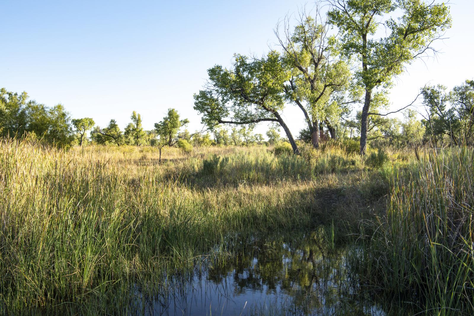 Spring Creek Ranch | Chas S. Middleton