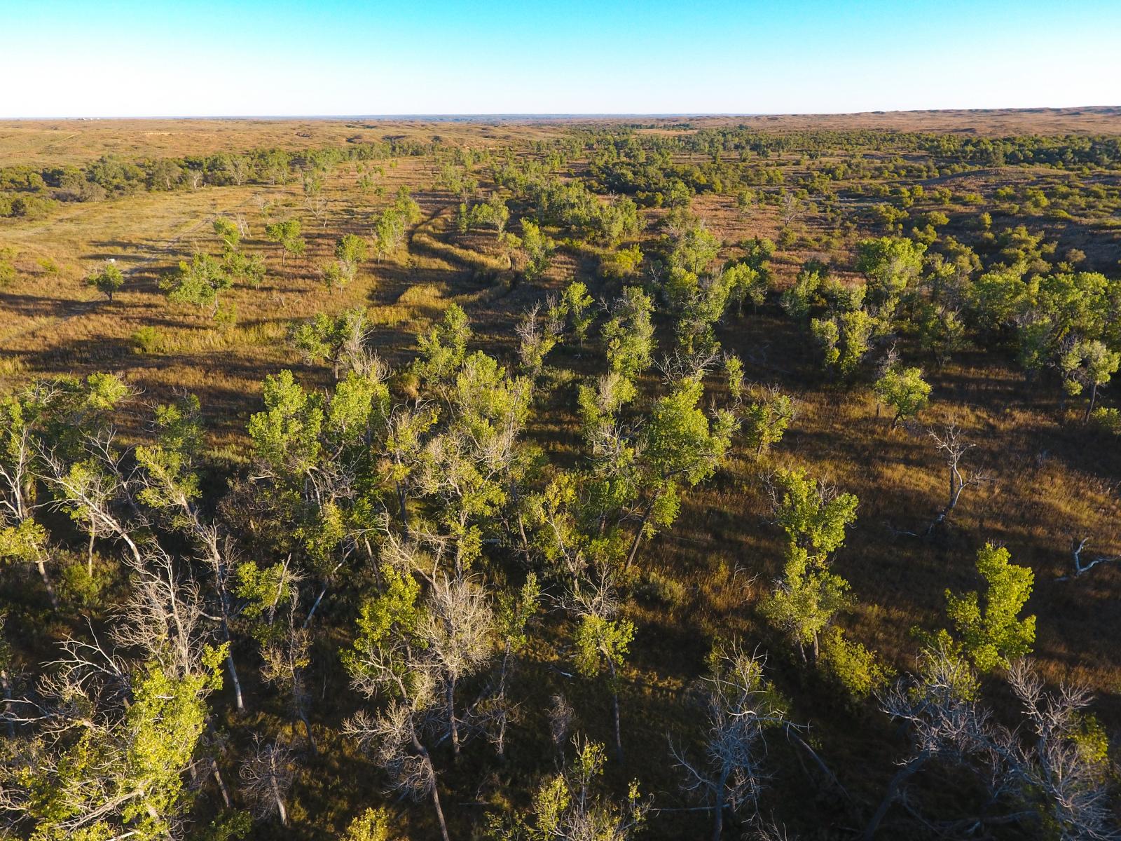Spring Creek Ranch | Chas S. Middleton