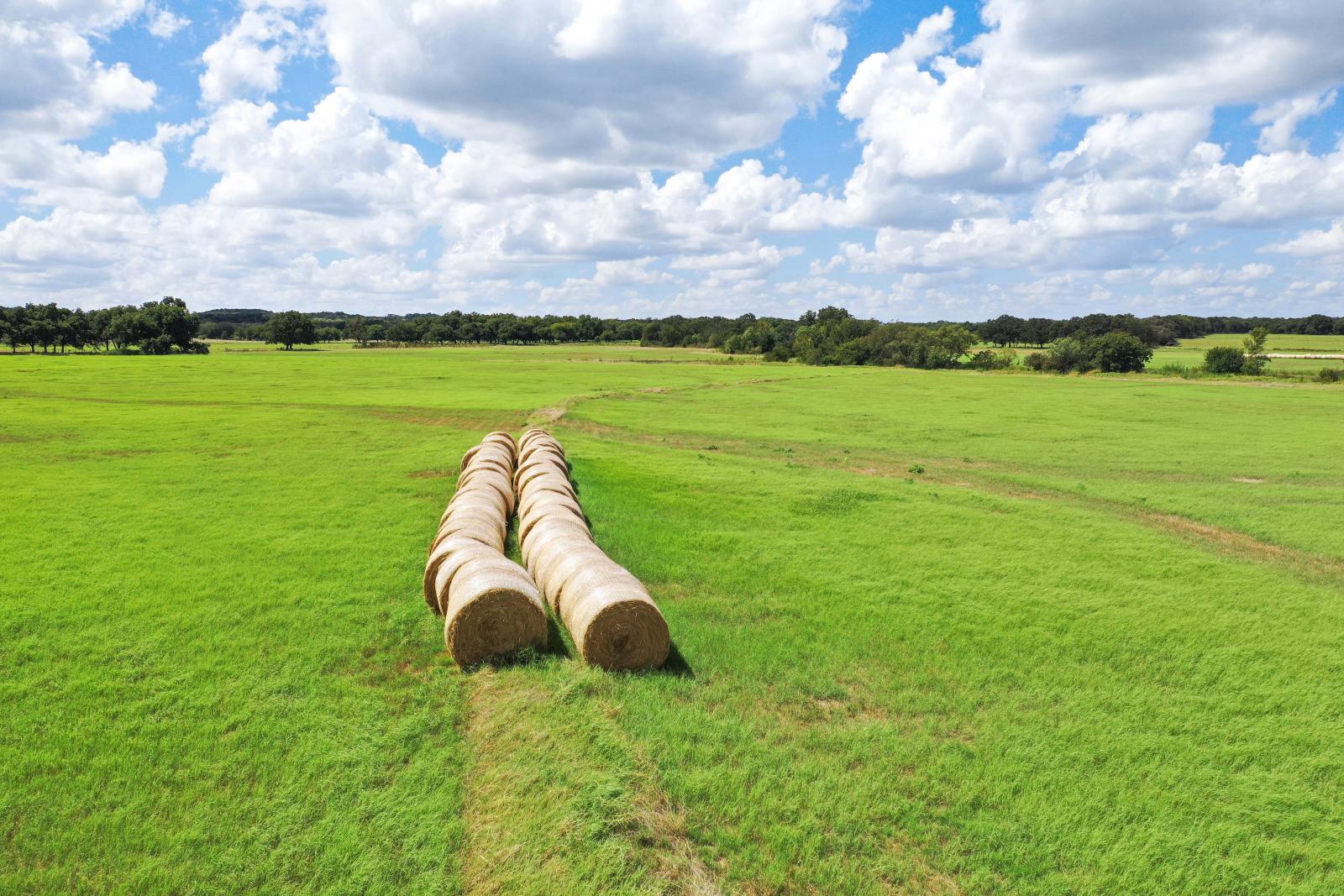 Morgan Mill Tract 101.31 | Chas S. Middleton