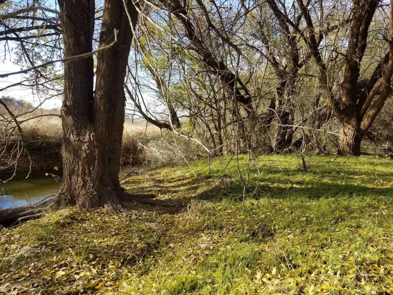 Ransom Canyon Ranch | Chas S. Middleton