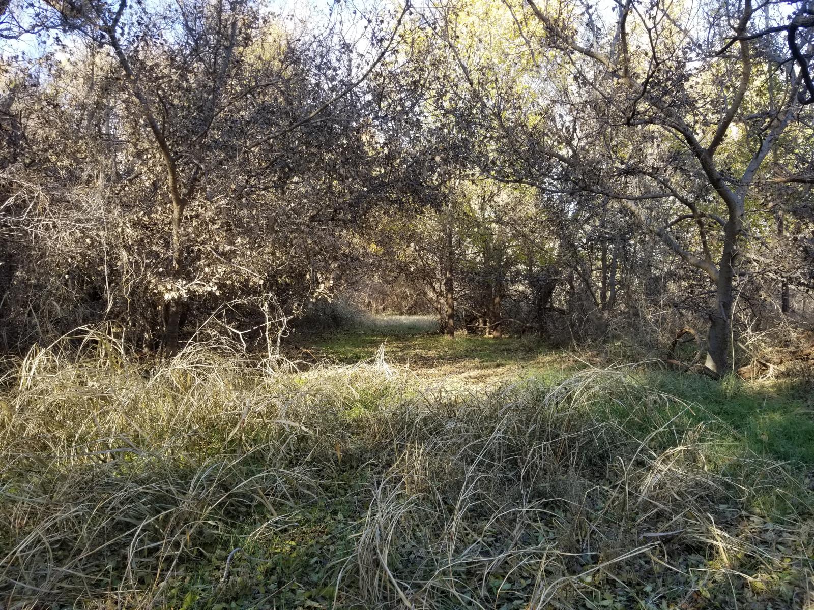 Ransom Canyon Ranch | Chas S. Middleton