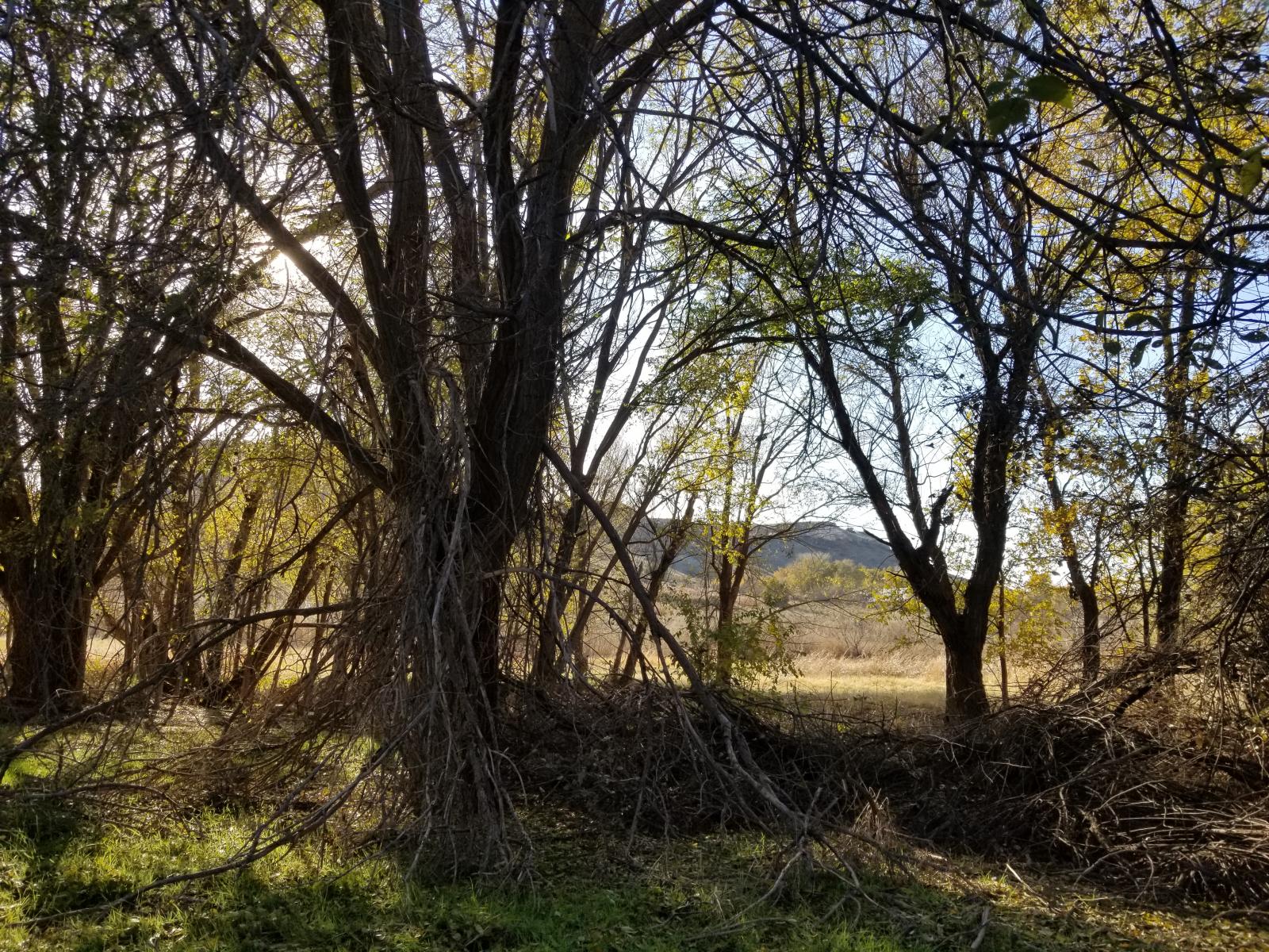 Ransom Canyon Ranch | Chas S. Middleton