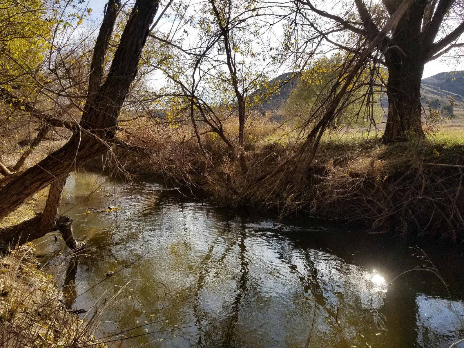 Ransom Canyon Ranch | Chas S. Middleton