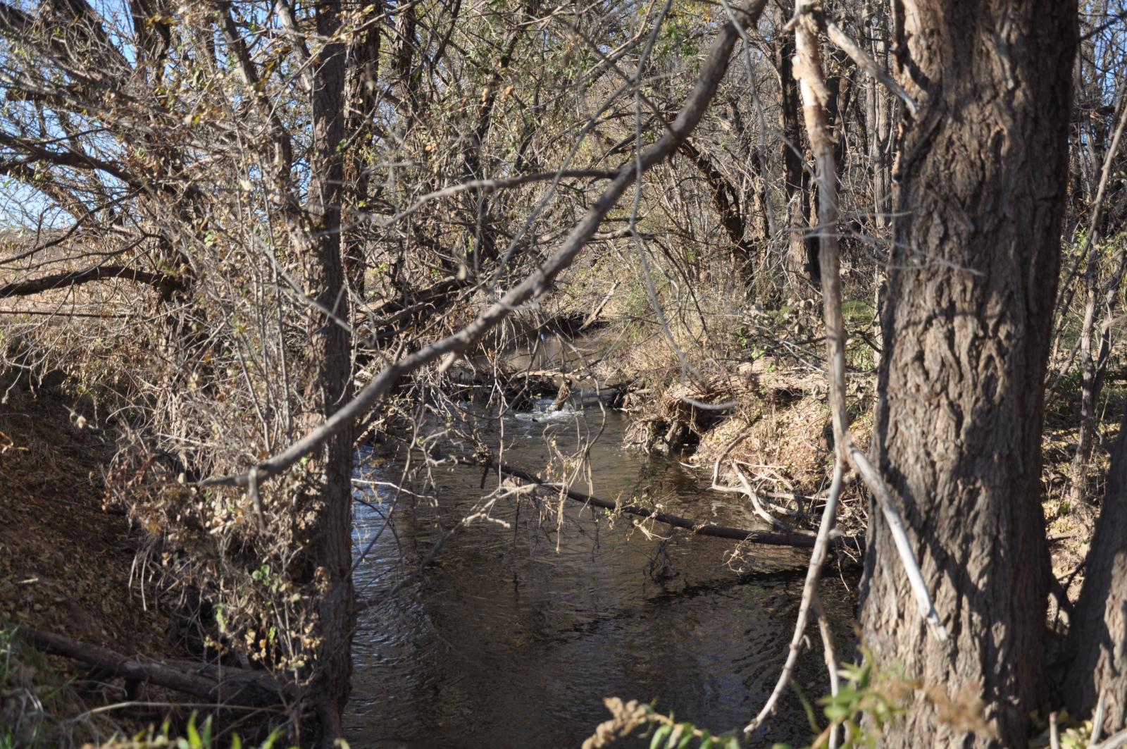 Ransom Canyon Ranch | Chas S. Middleton