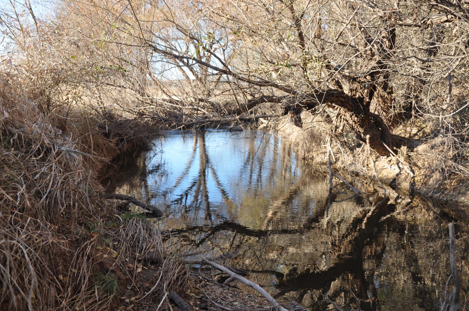 Ransom Canyon Ranch | Chas S. Middleton