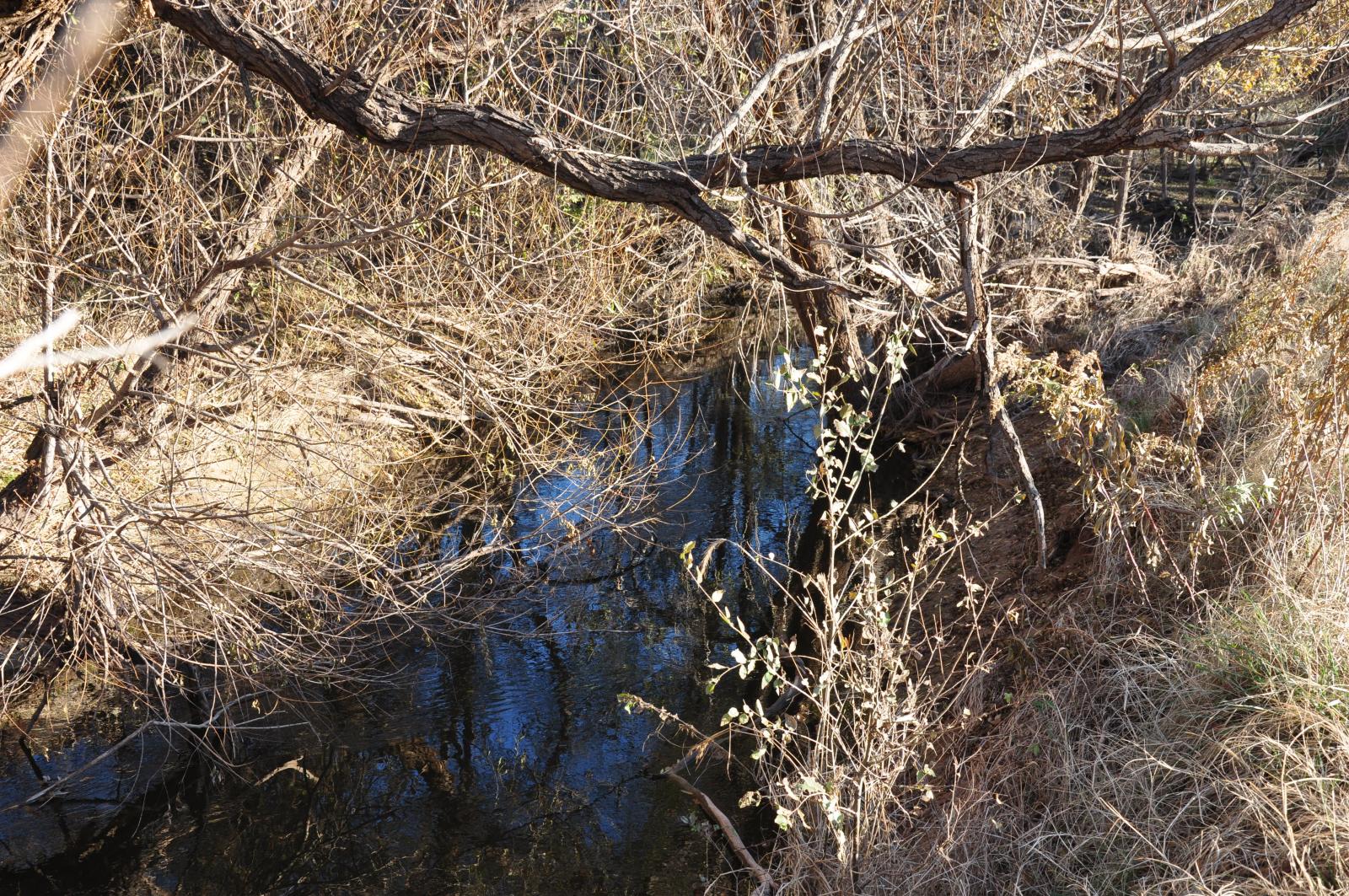 Ransom Canyon Ranch | Chas S. Middleton