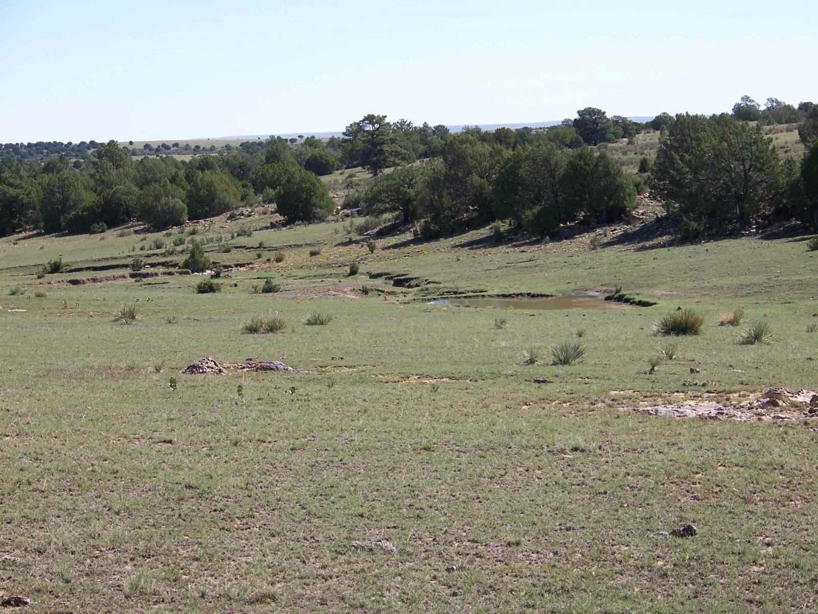 Red River Ranch | Chas S. Middleton