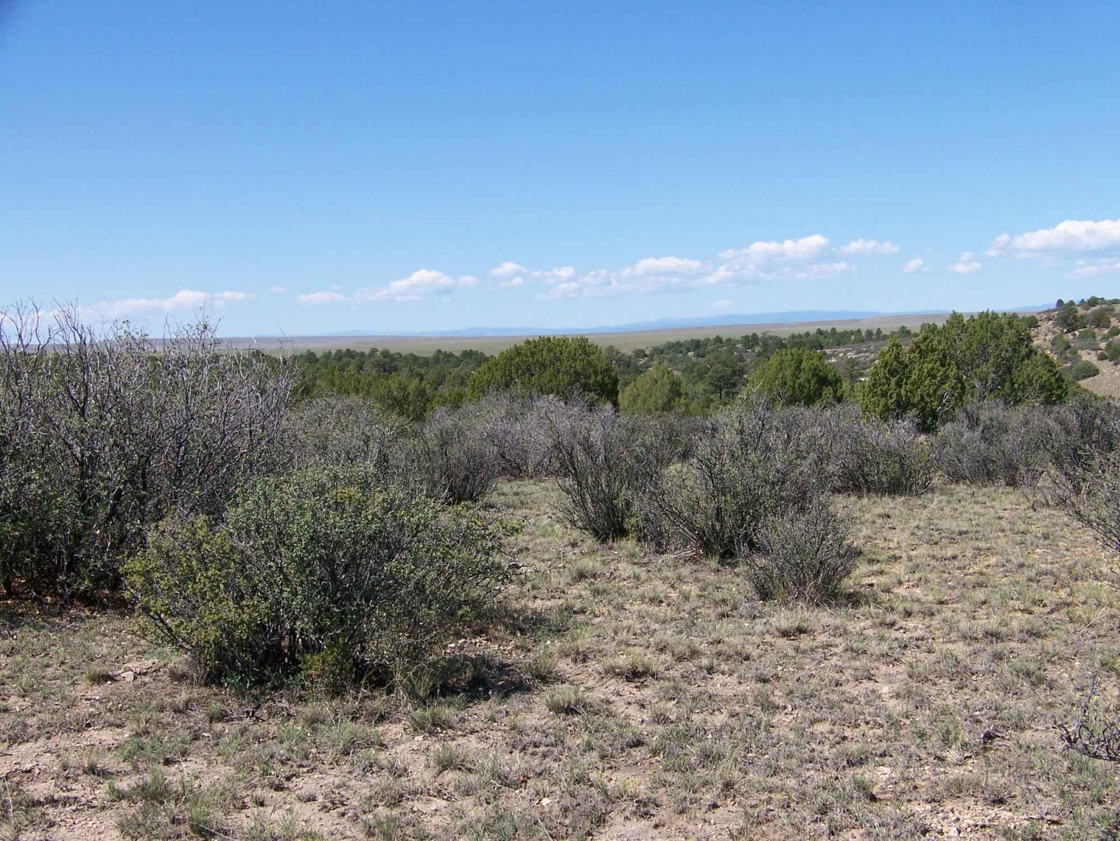 Red River Ranch | Chas S. Middleton