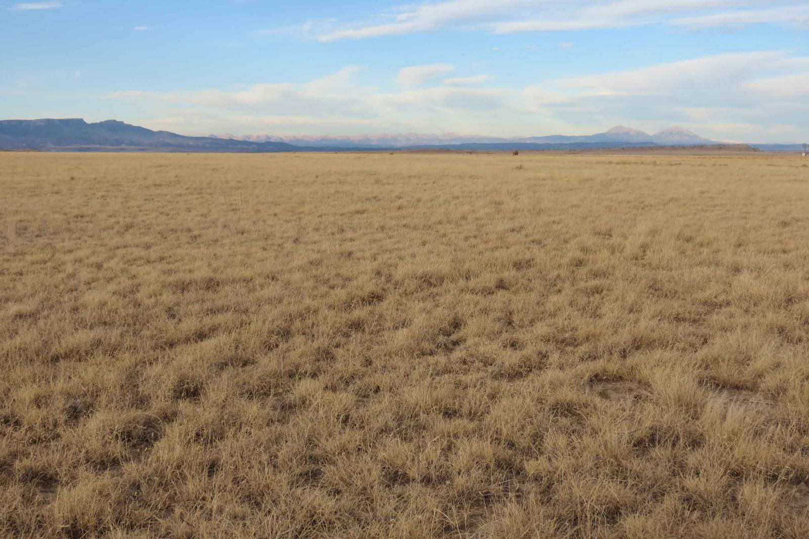 Acme Trinchera Creek Ranch | Chas S. Middleton