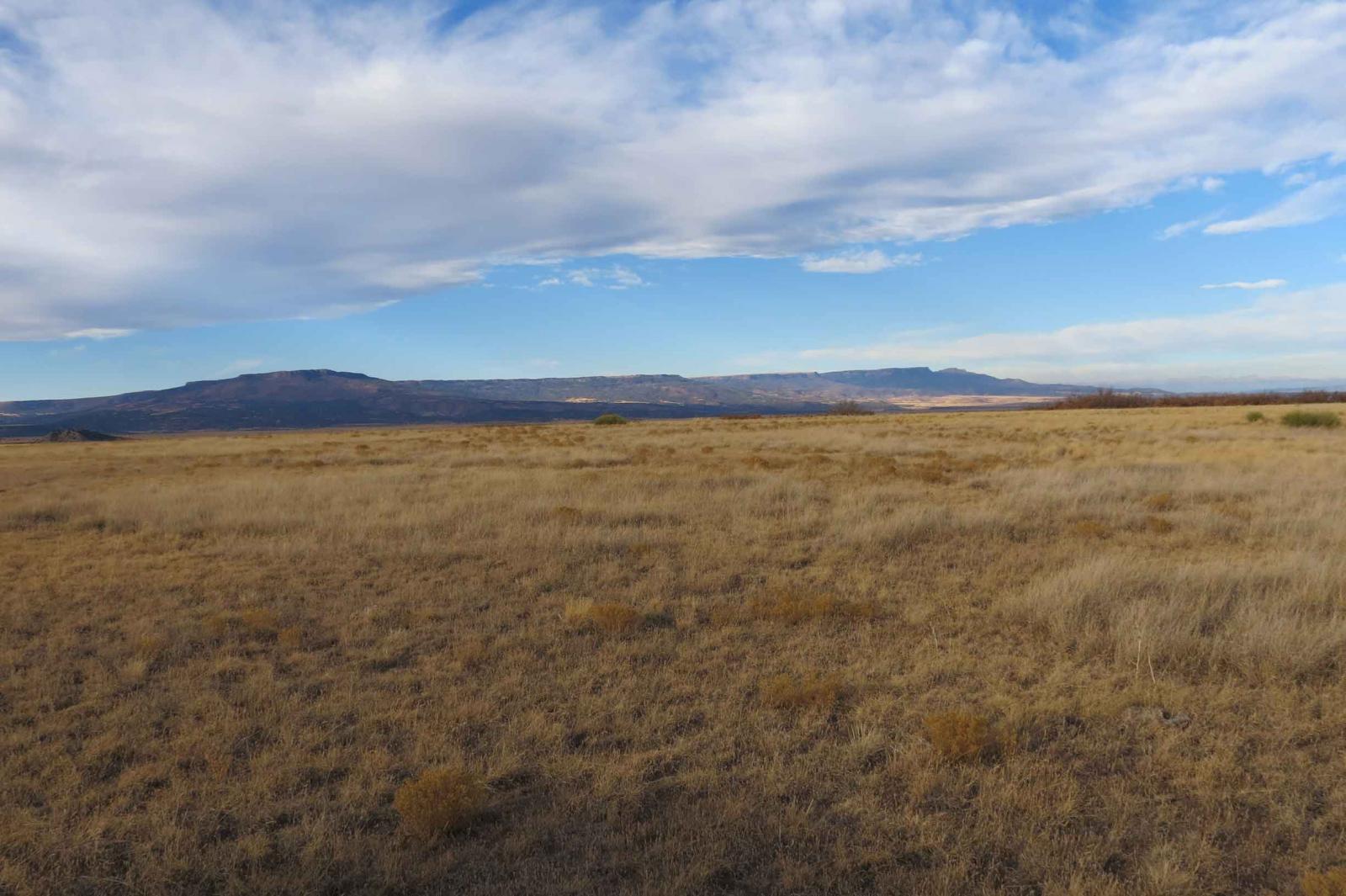 Acme Trinchera Creek Ranch | Chas S. Middleton