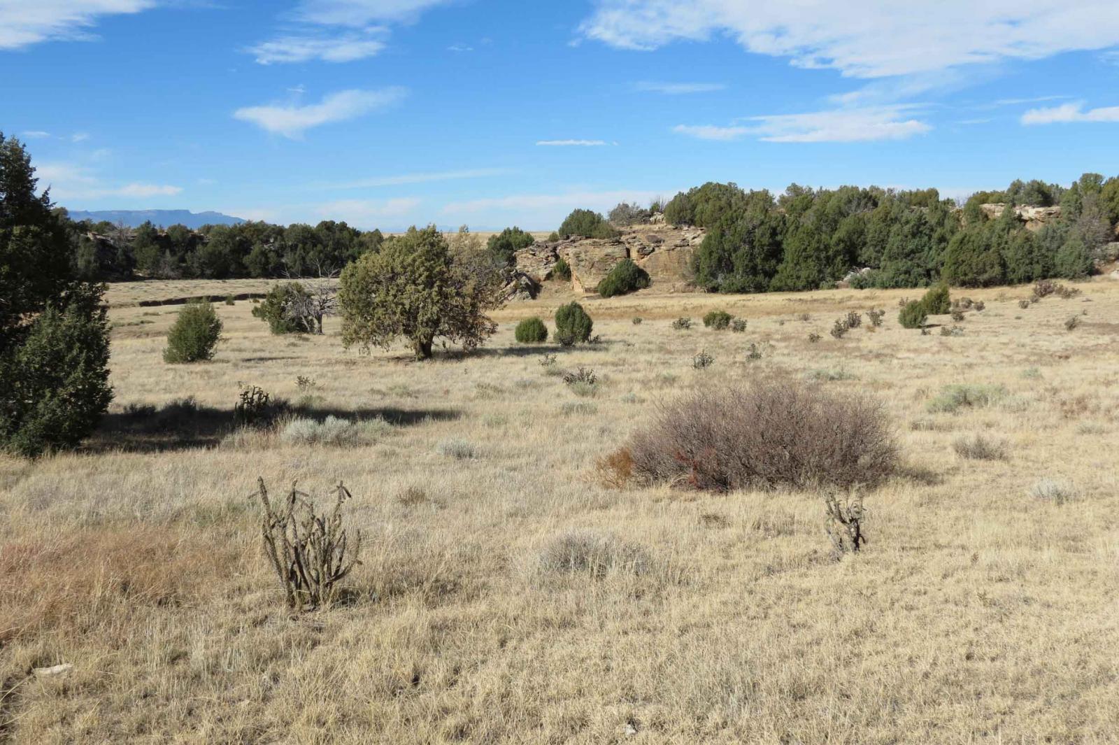 Acme Trinchera Creek Ranch | Chas S. Middleton