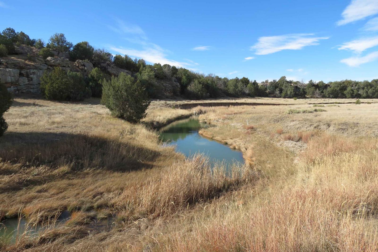 Acme Trinchera Creek Ranch | Chas S. Middleton