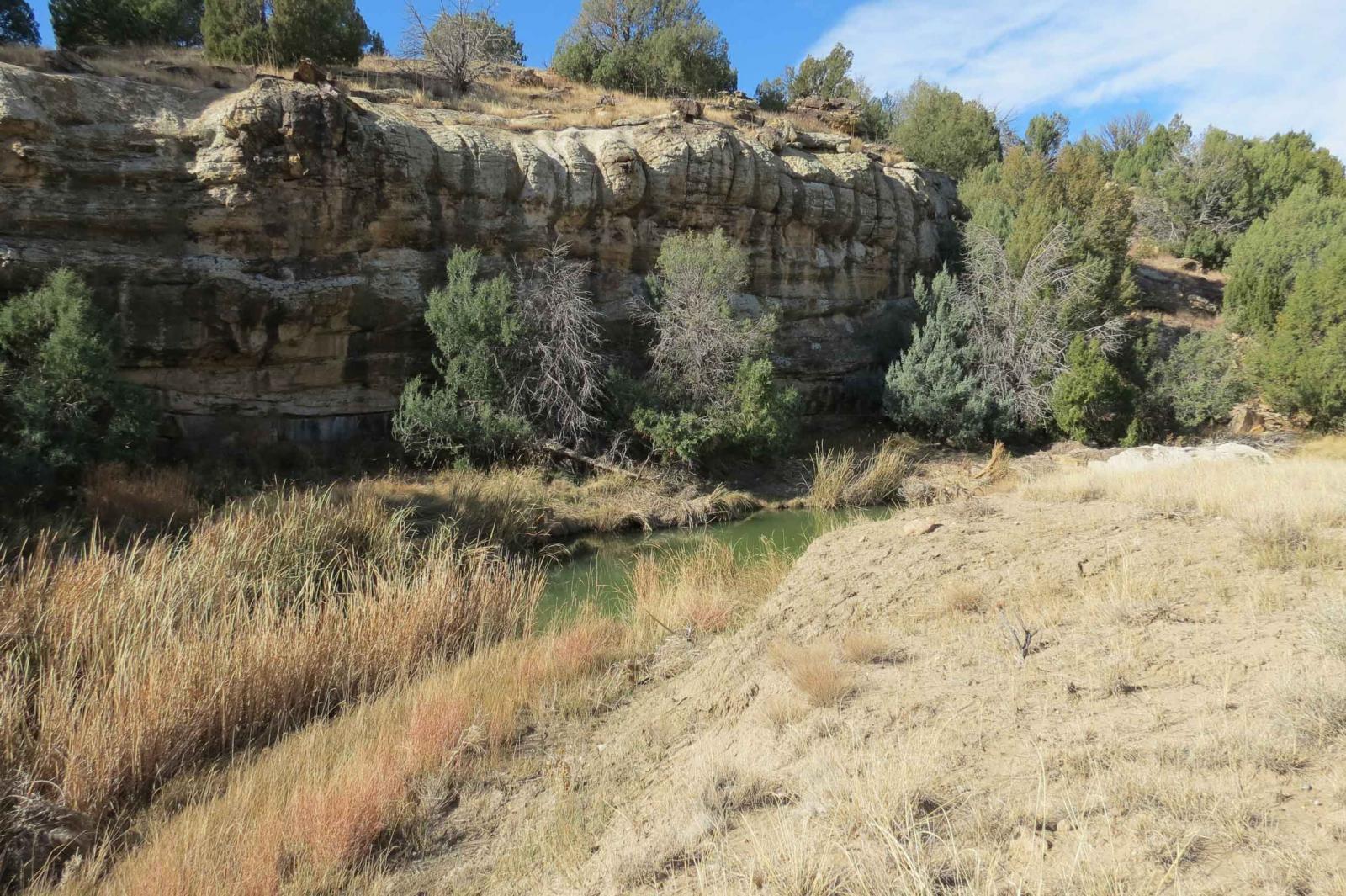 Acme Trinchera Creek Ranch | Chas S. Middleton