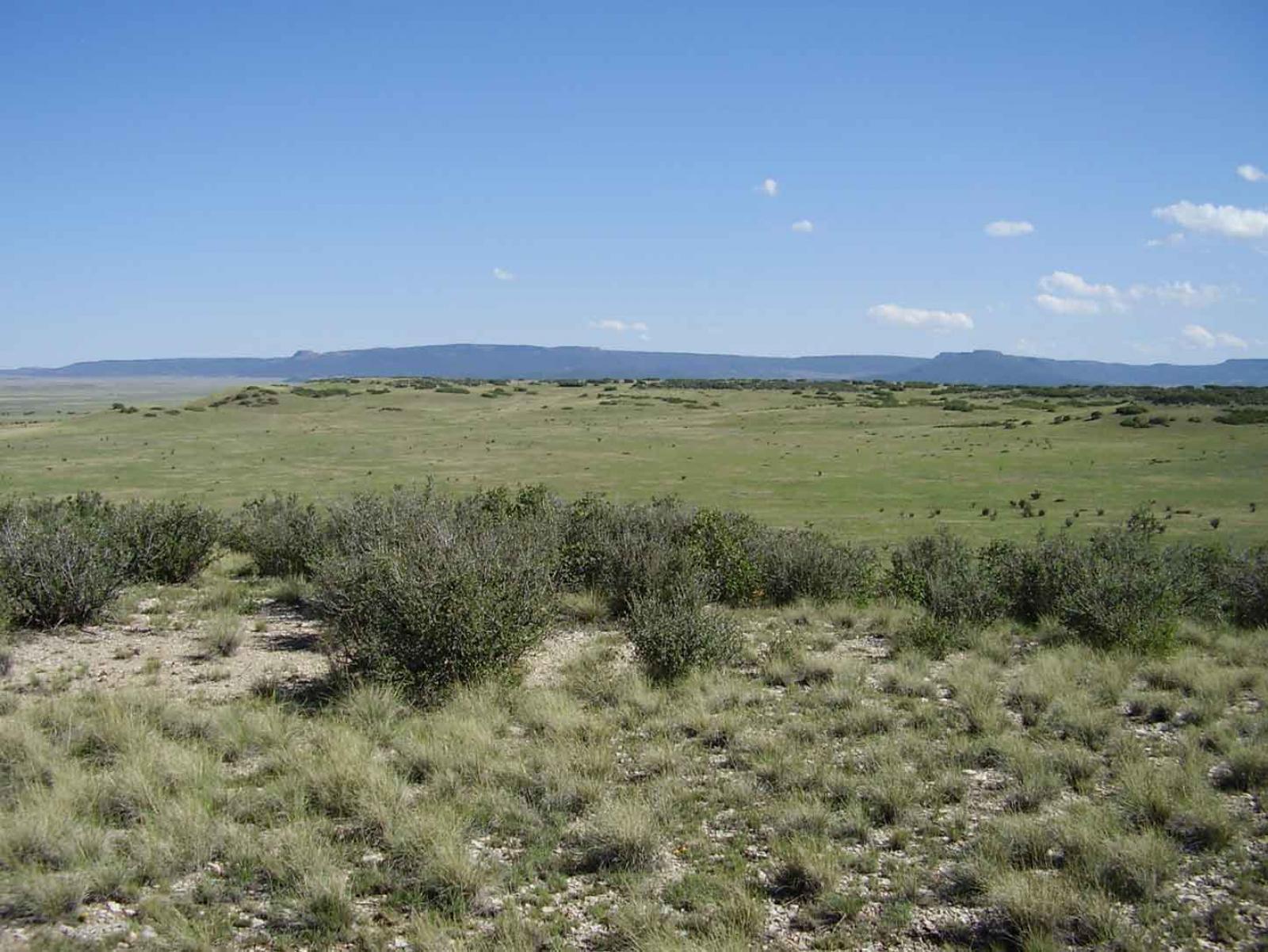 Mock Trinchera Creek Ranch | Chas S. Middleton