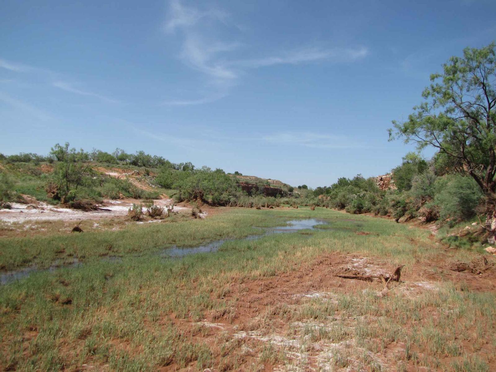 Salt Creek Ranch | Chas S. Middleton