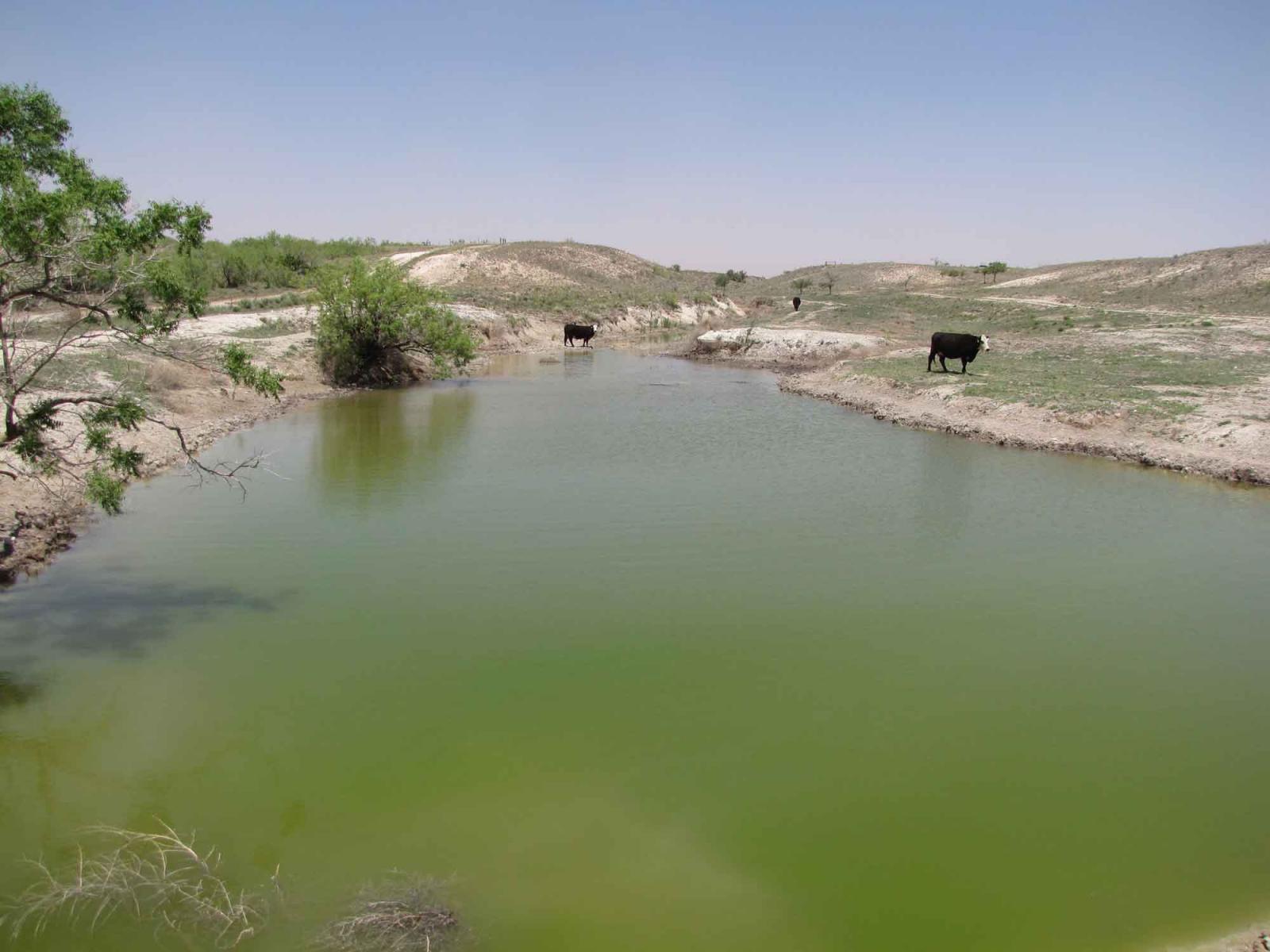 Winter Tahoka Lake Ranch | Chas S. Middleton