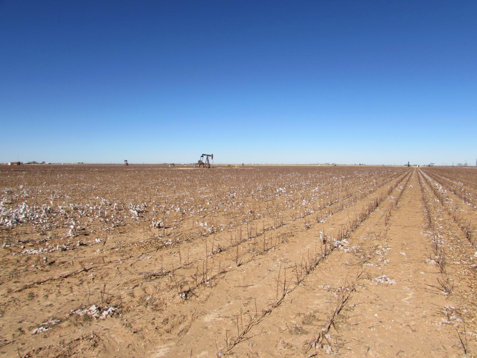 Nipper Farm | Chas S. Middleton