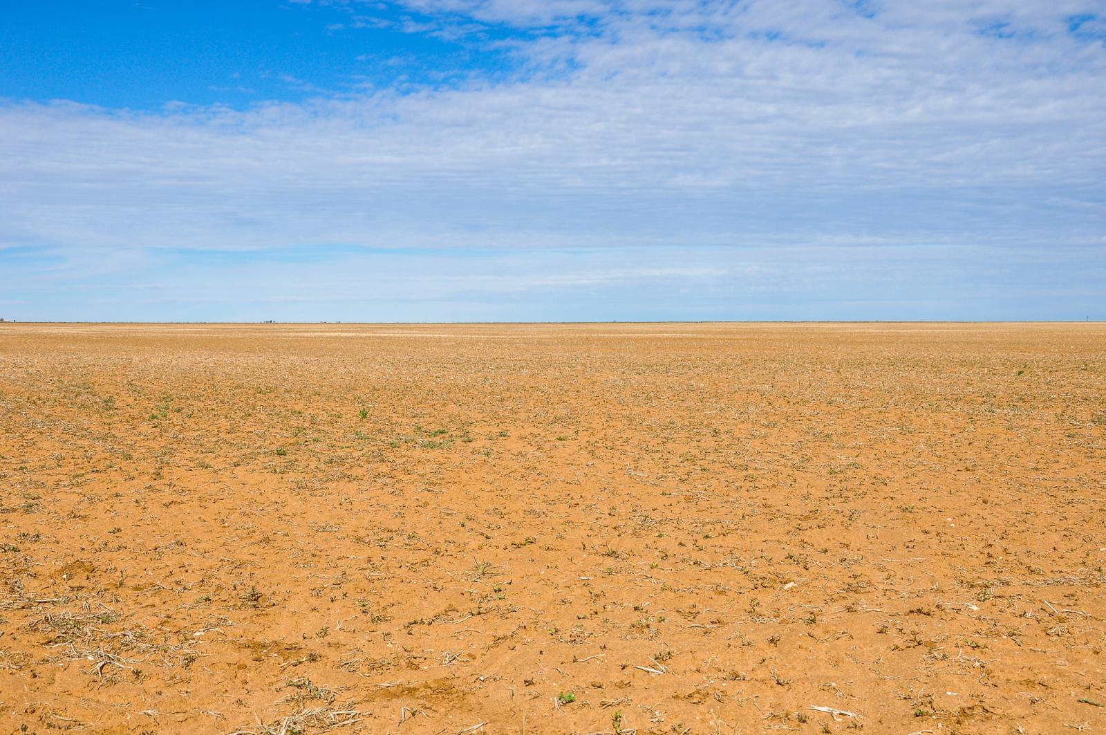 Wilson Ranch | Chas S. Middleton