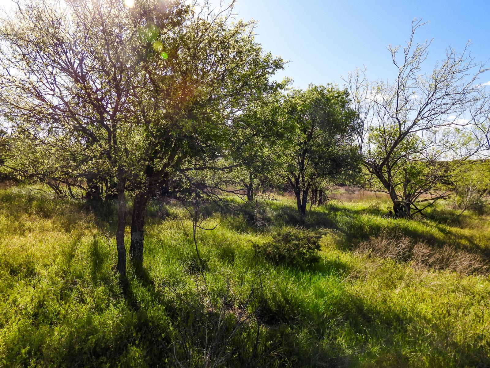Three Rivers Ranch | Chas S. Middleton