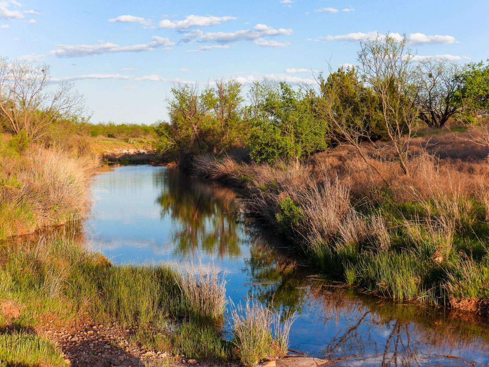 Three Rivers Ranch | Chas S. Middleton