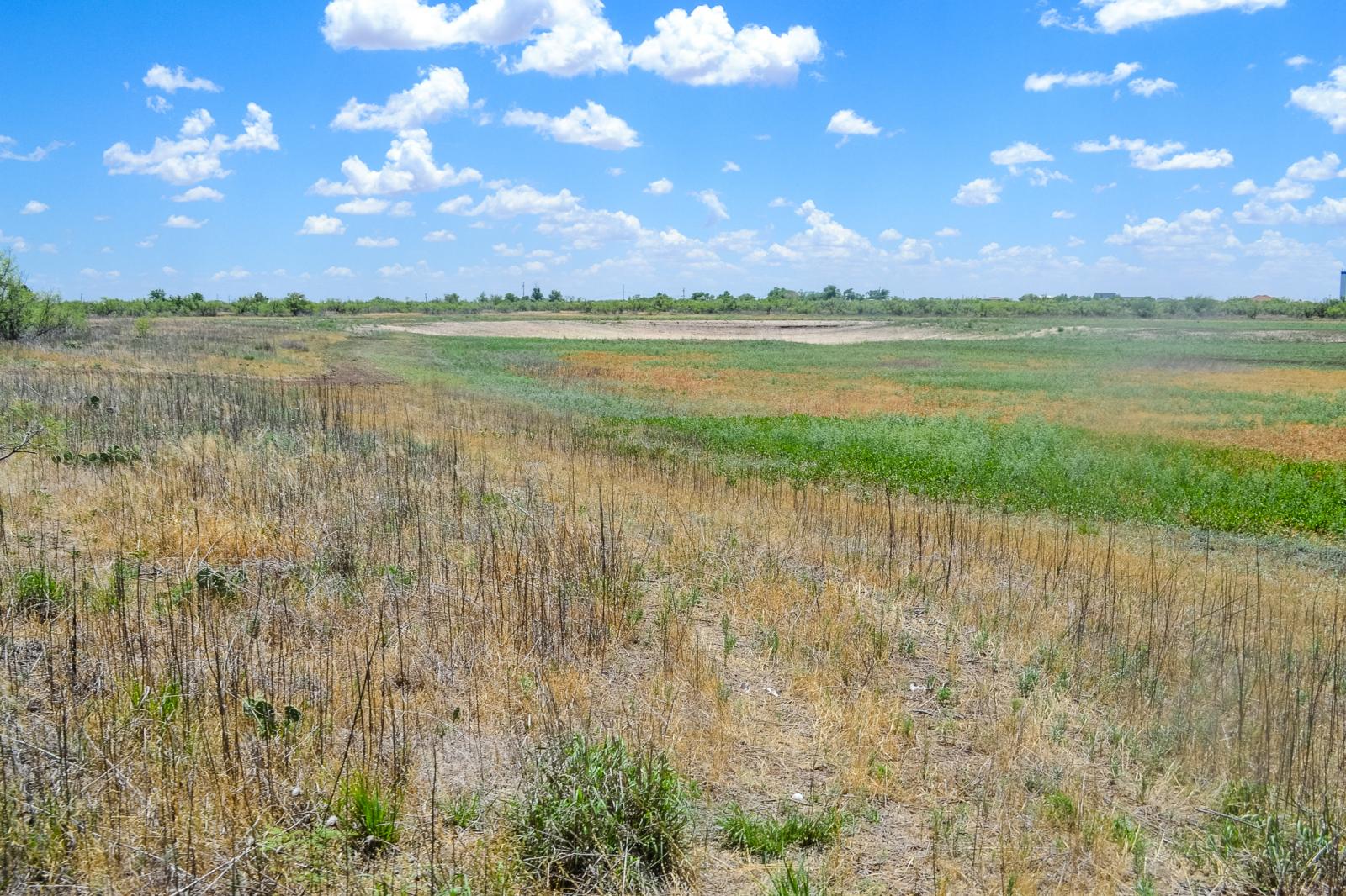 Duncan Ranch | Chas S. Middleton