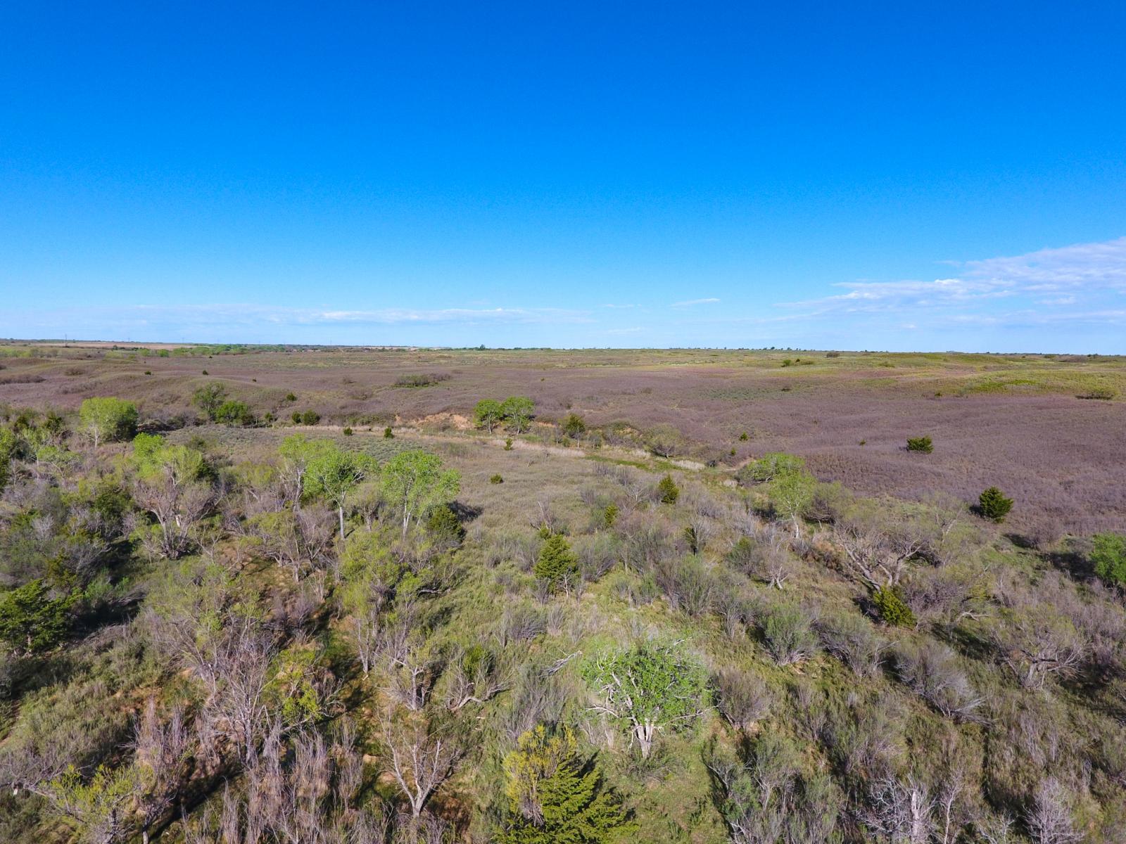 Bar T Ranch - Creek Pasture | Chas S. Middleton