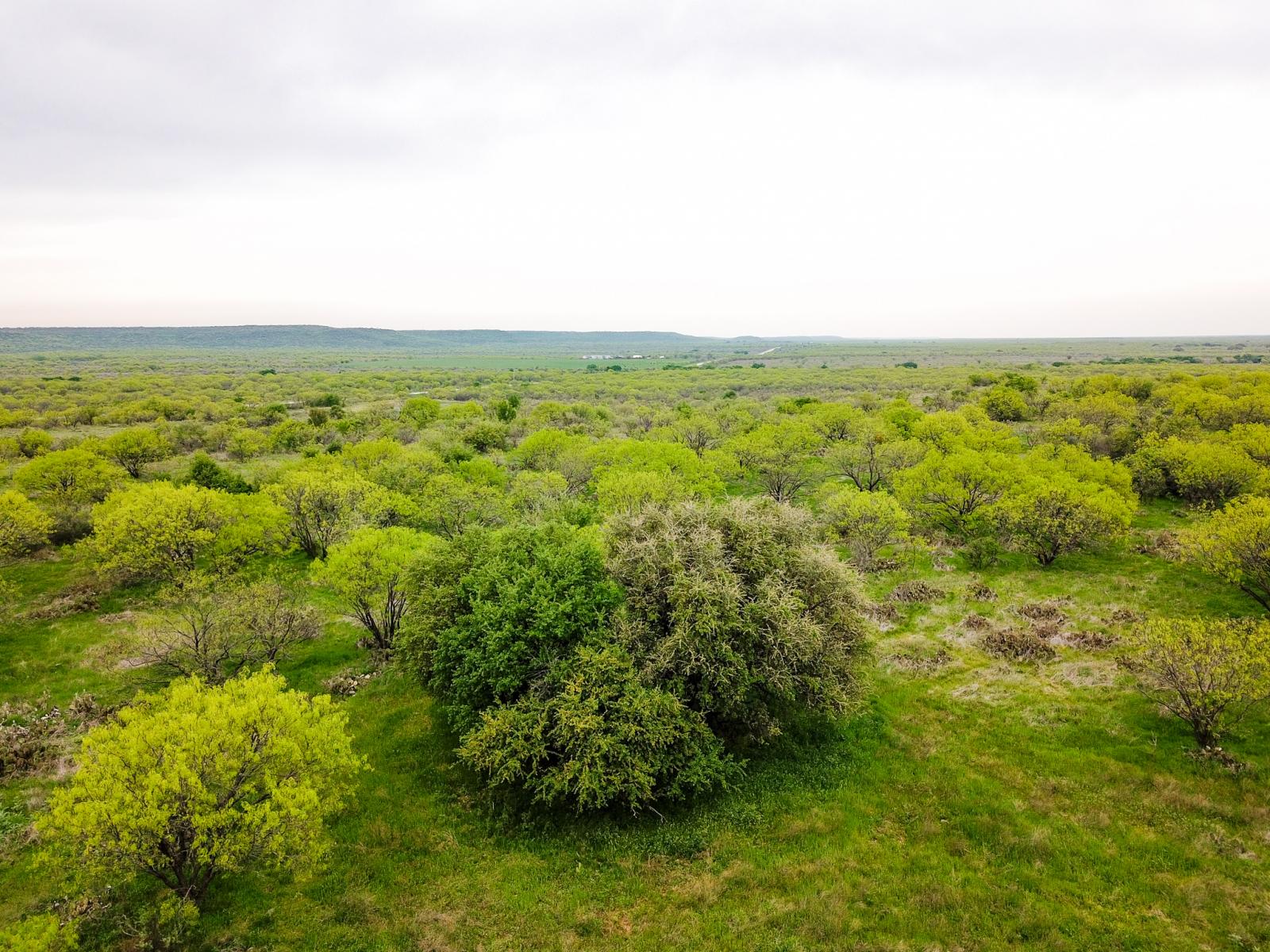 Clark Ranch | Chas S. Middleton