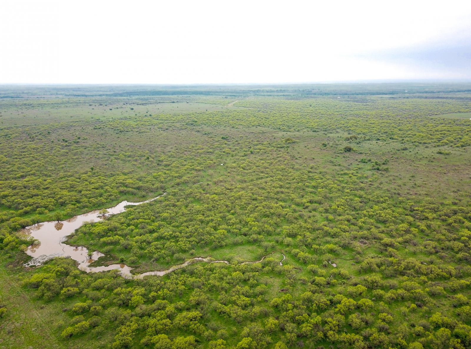 Clark Ranch | Chas S. Middleton