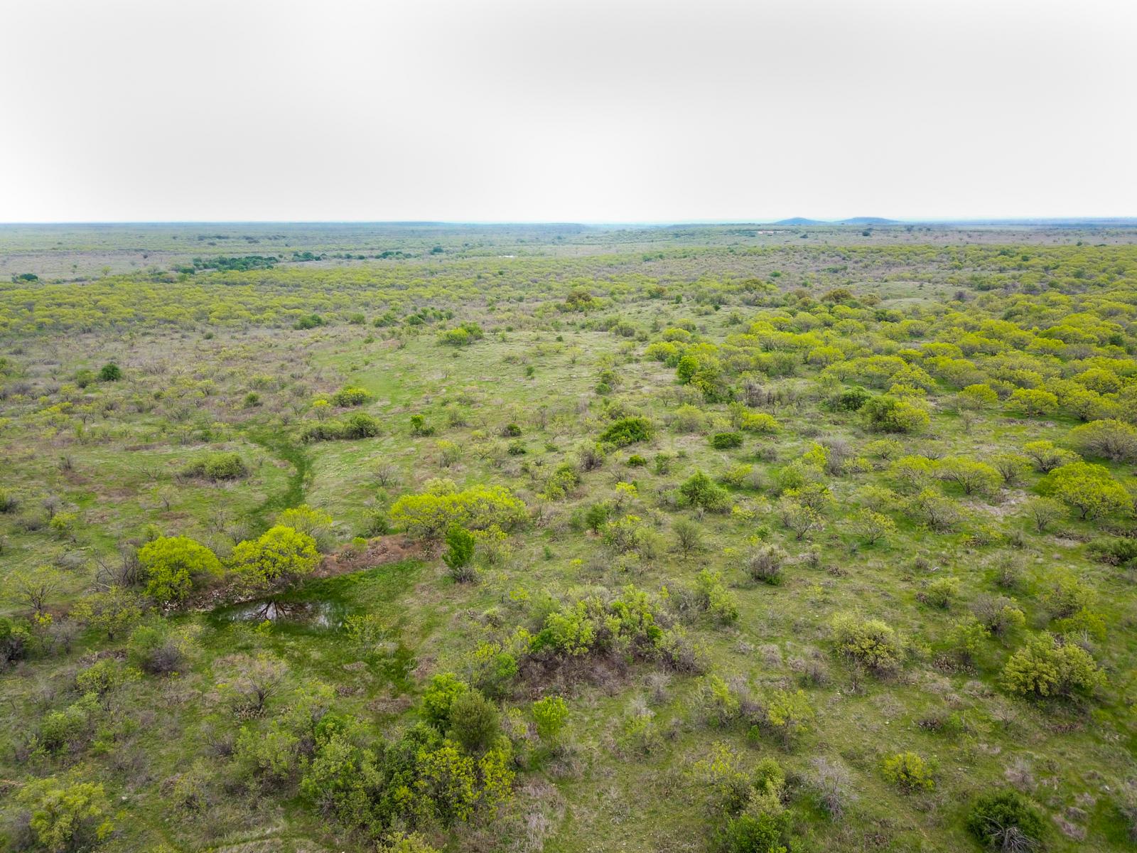 Clark Ranch | Chas S. Middleton