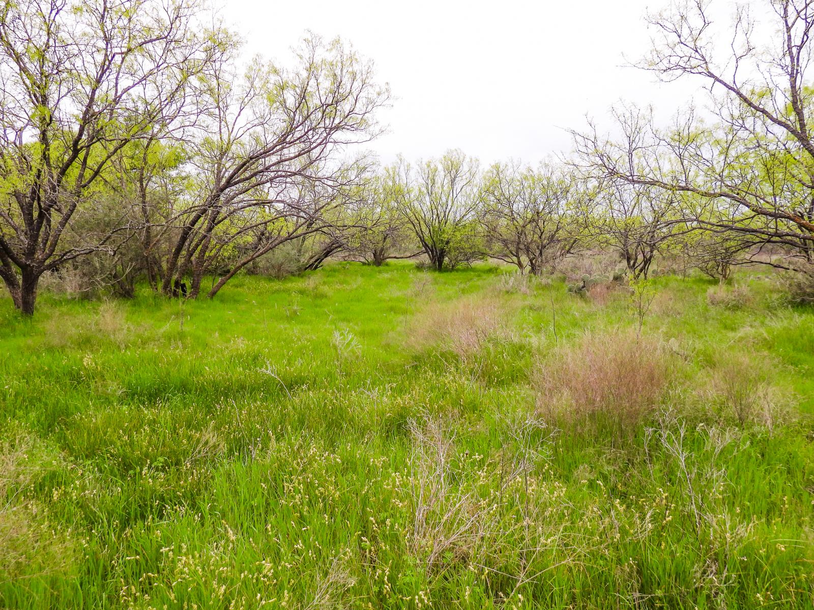 Clark Ranch | Chas S. Middleton