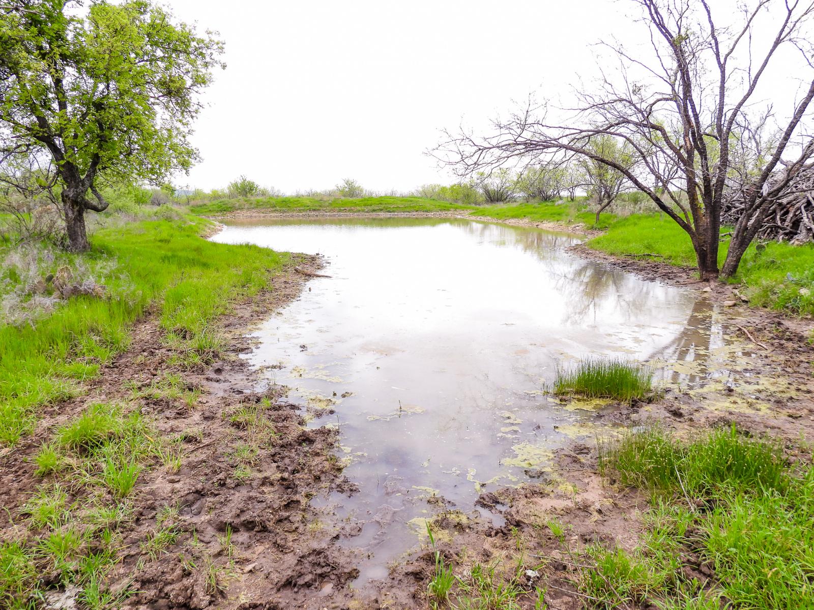 Clark Ranch | Chas S. Middleton