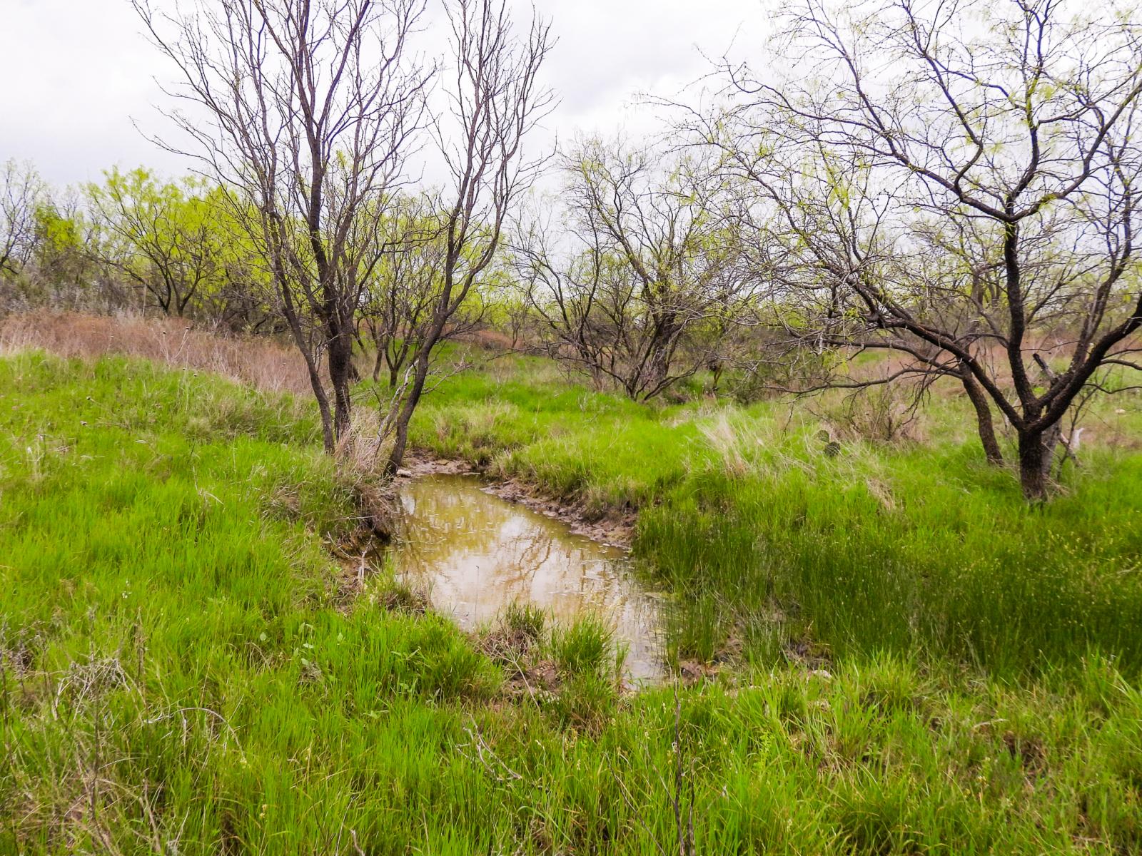 Clark Ranch | Chas S. Middleton