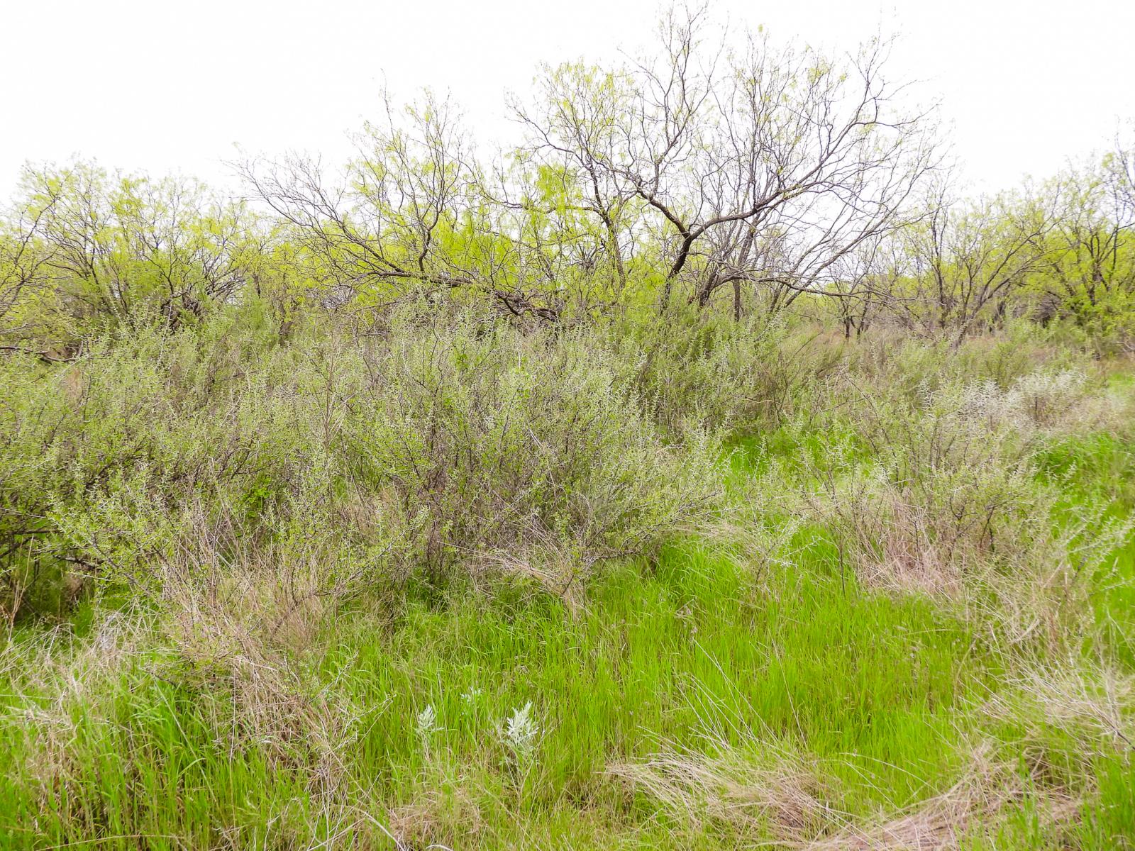 Clark Ranch | Chas S. Middleton