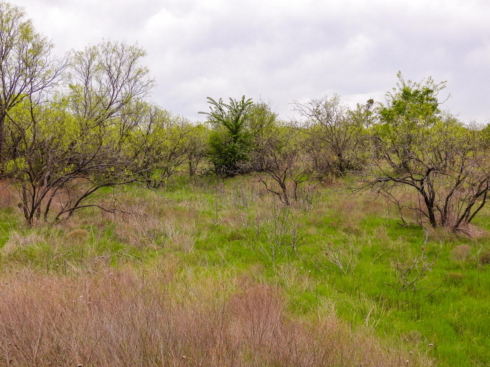 Clark Ranch | Chas S. Middleton