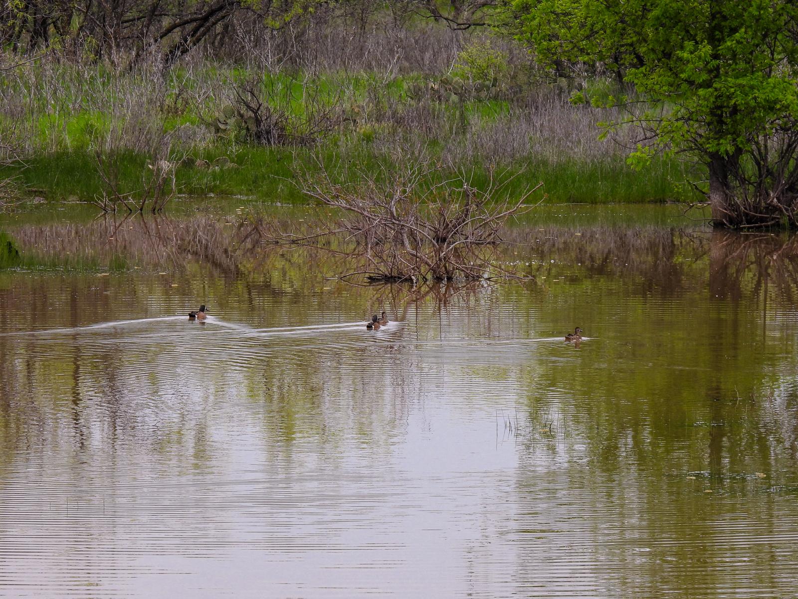 Clark Ranch | Chas S. Middleton