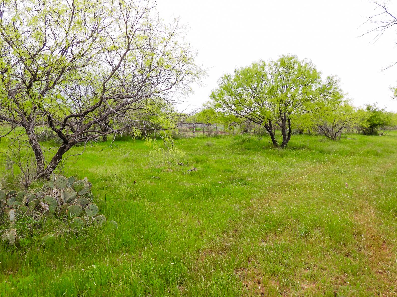 Clark Ranch | Chas S. Middleton