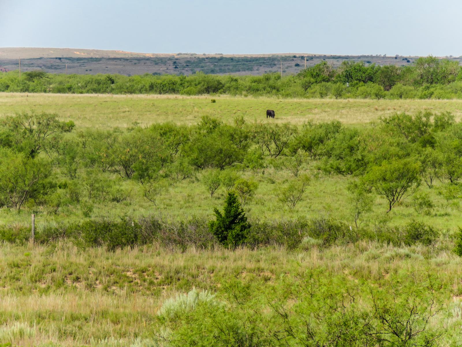 Diamond A Ranch | Chas S. Middleton