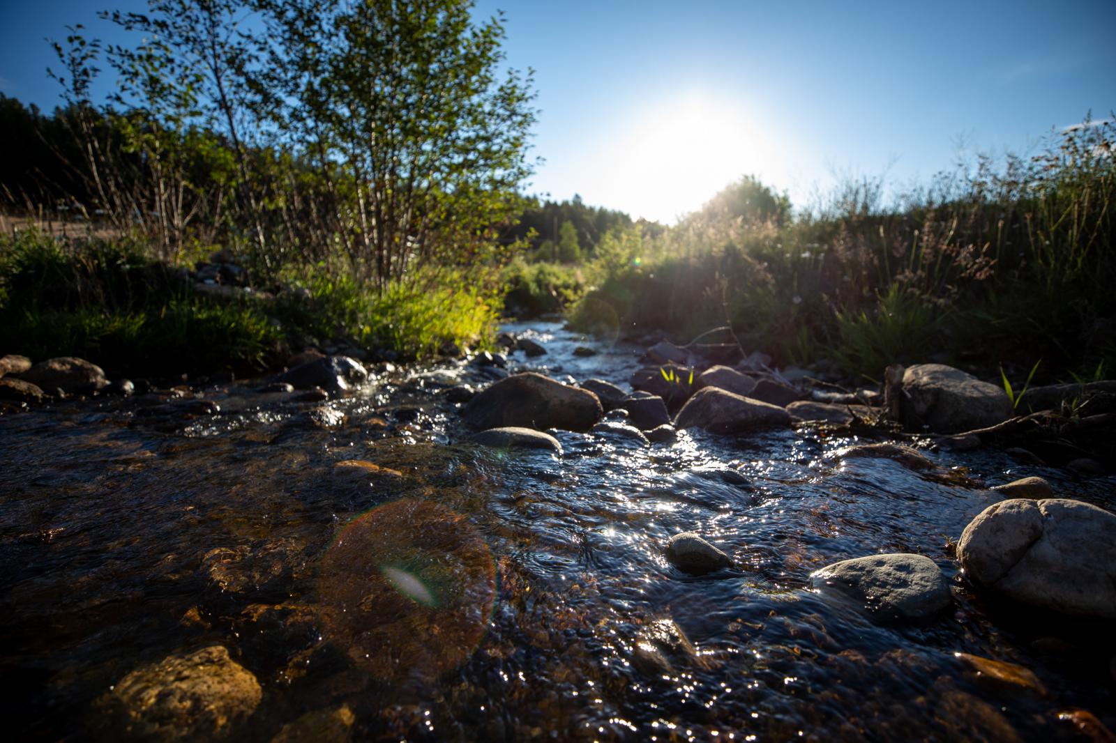 Patrick and Lisa Swayze's Rancho de Dias Alegres | Chas S. Middleton