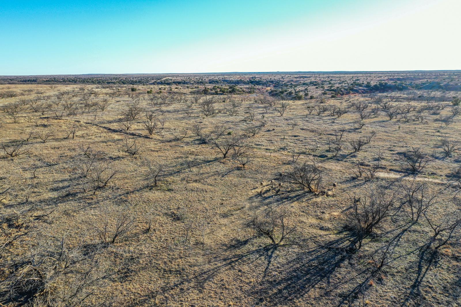 Dos Rios Ranch | Chas S. Middleton