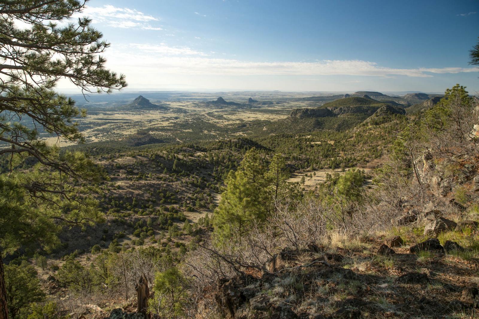 L Bar Ranch | Chas S. Middleton