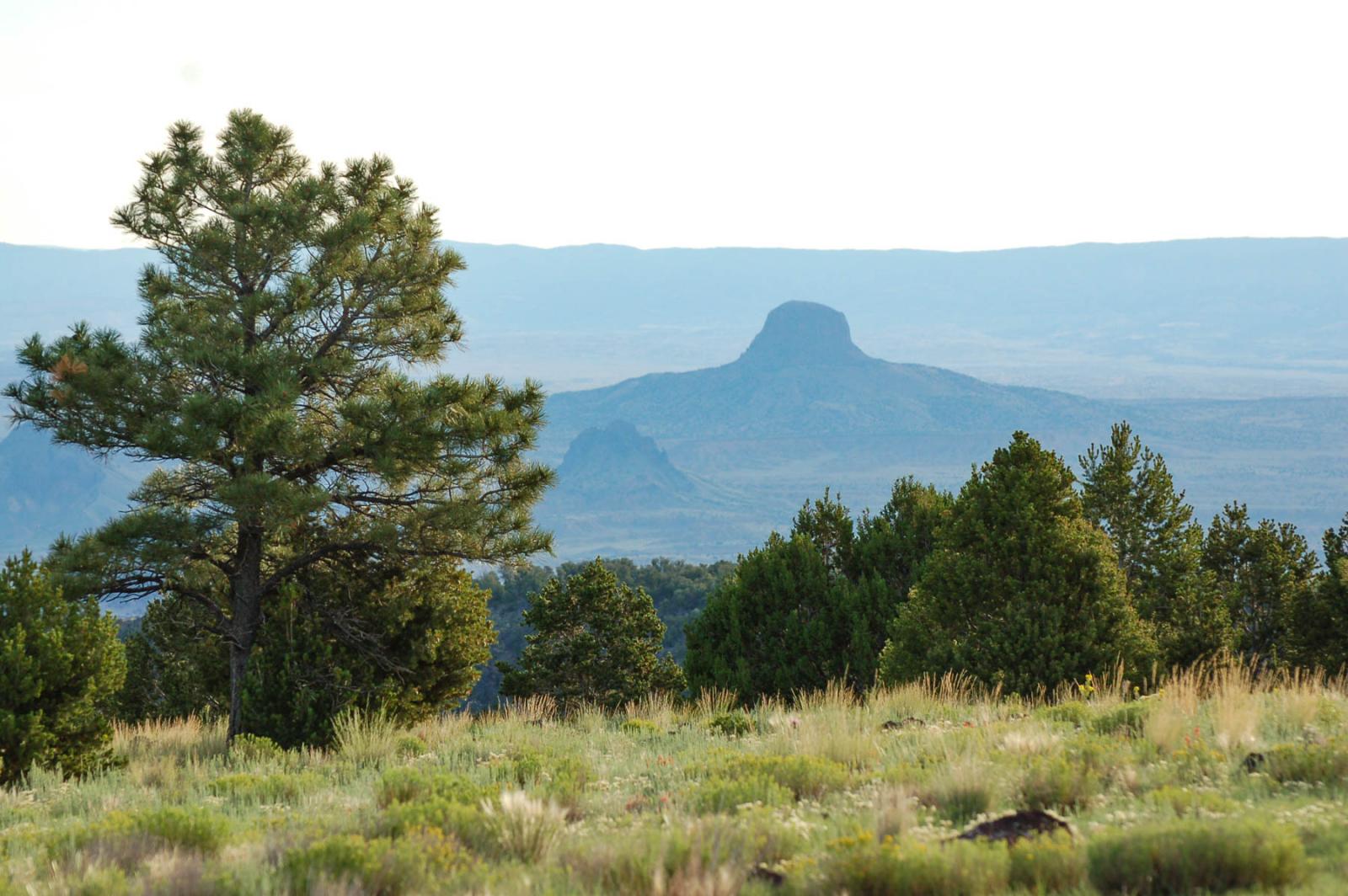 L Bar Ranch | Chas S. Middleton
